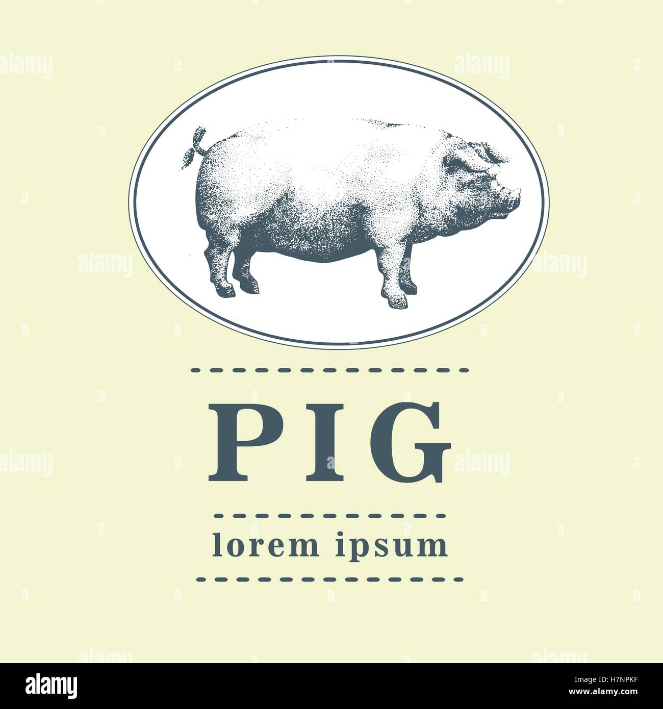 Vector illustration of pig in graphic style, hand drawing illustration ...