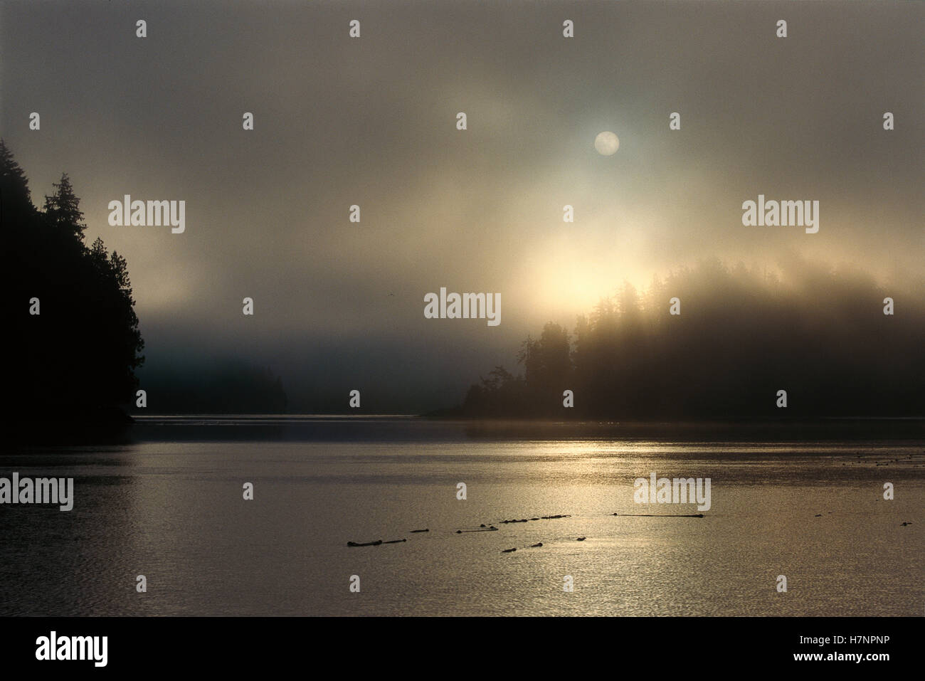 Clayoquot Sound, Vancouver Island, British Columbia, Canada Stock Photo ...