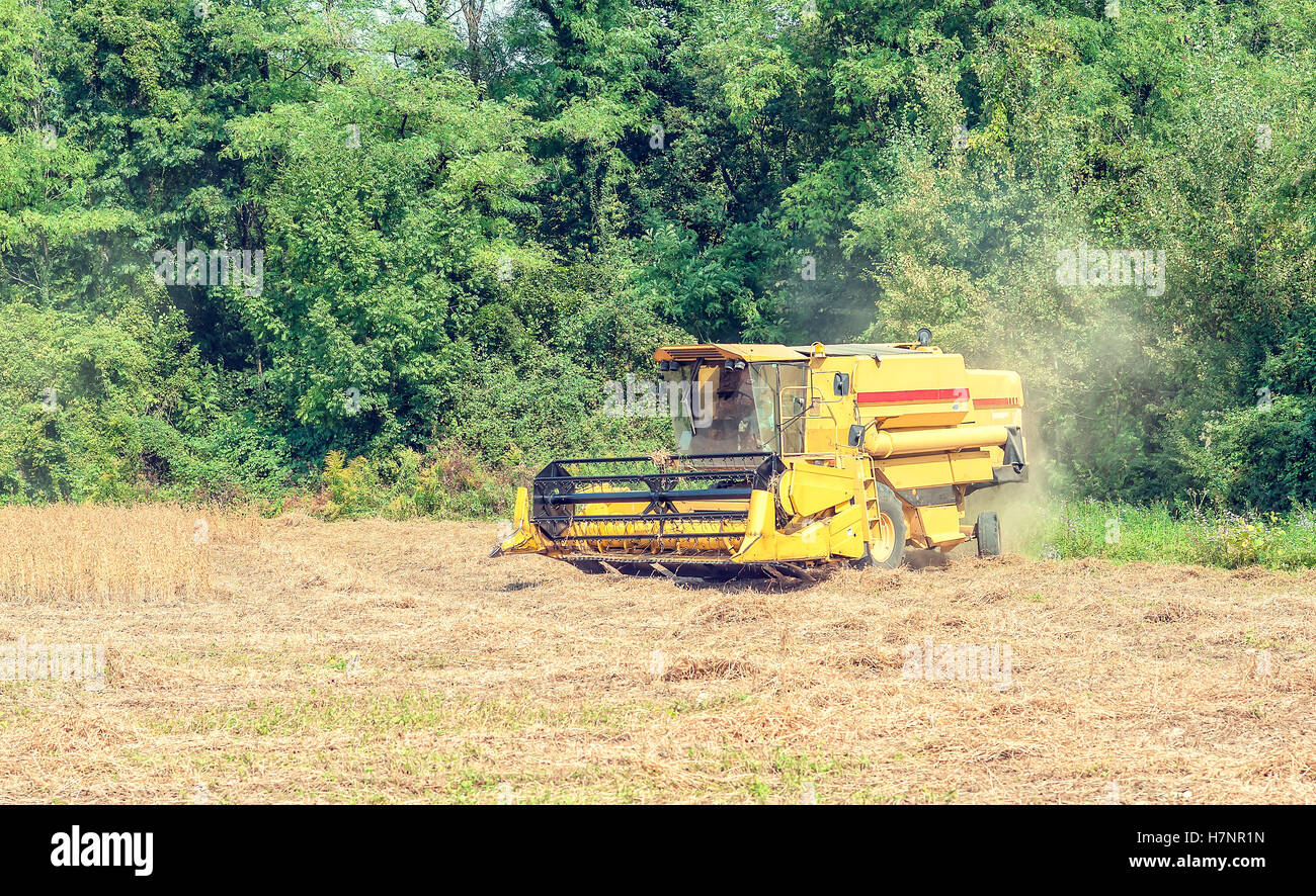Combine harvester in corn field hi-res stock photography and images - Alamy
