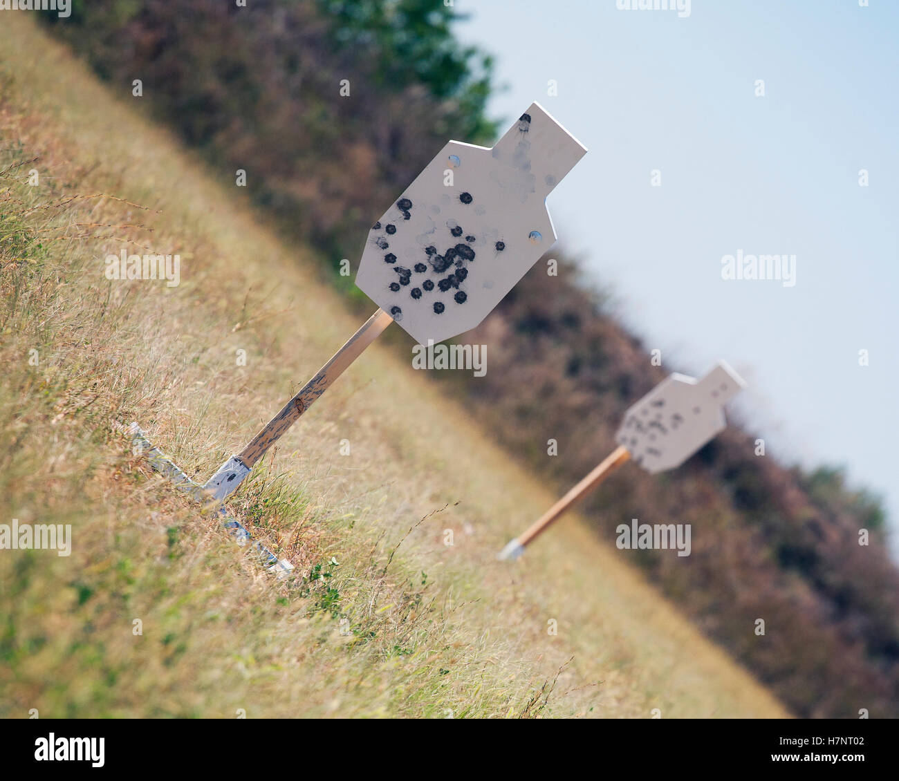 Steel targets down at the end of a grassy range Stock Photo - Alamy