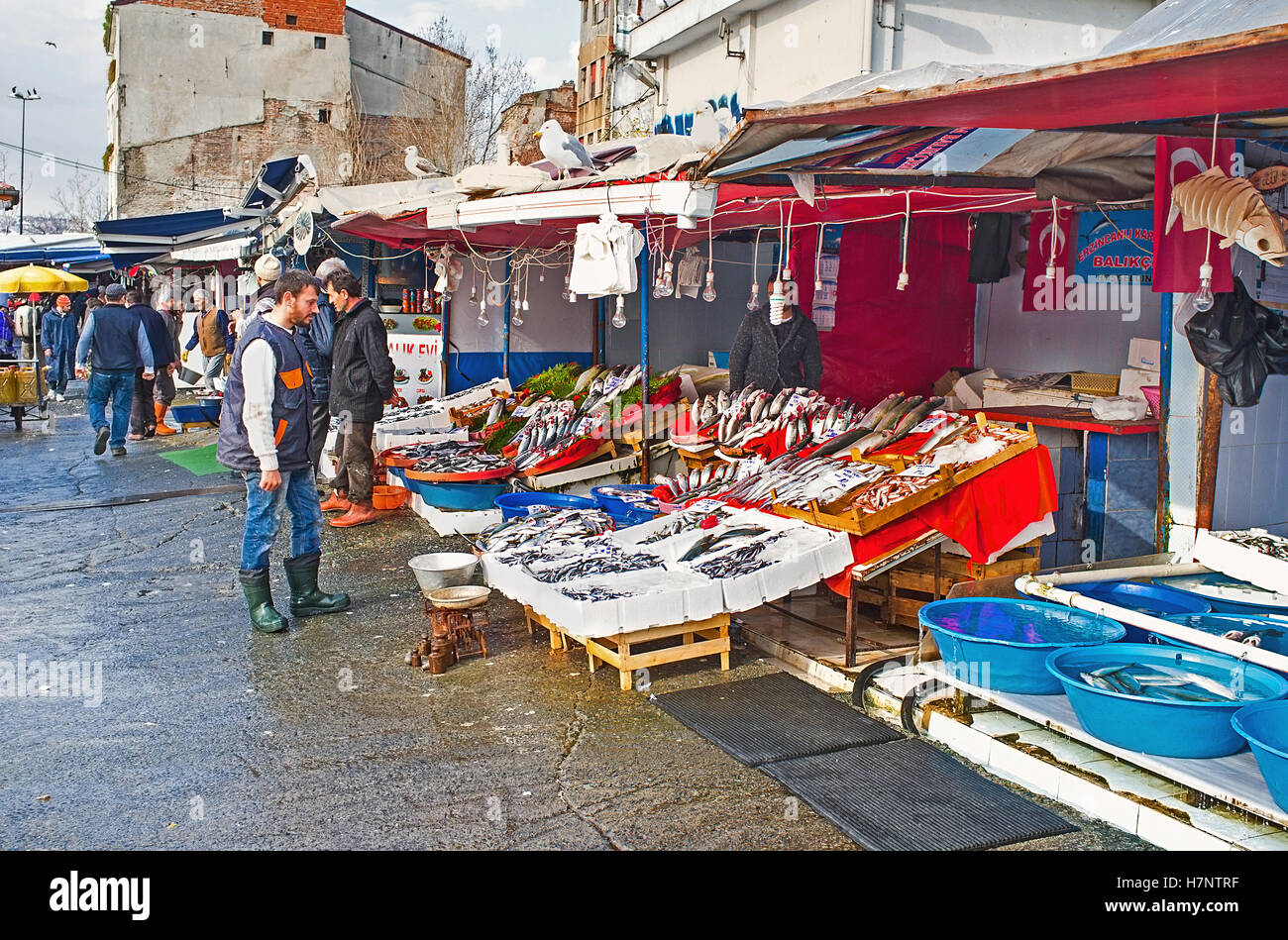 The central fish market next to Galata bridge is the best place to ...