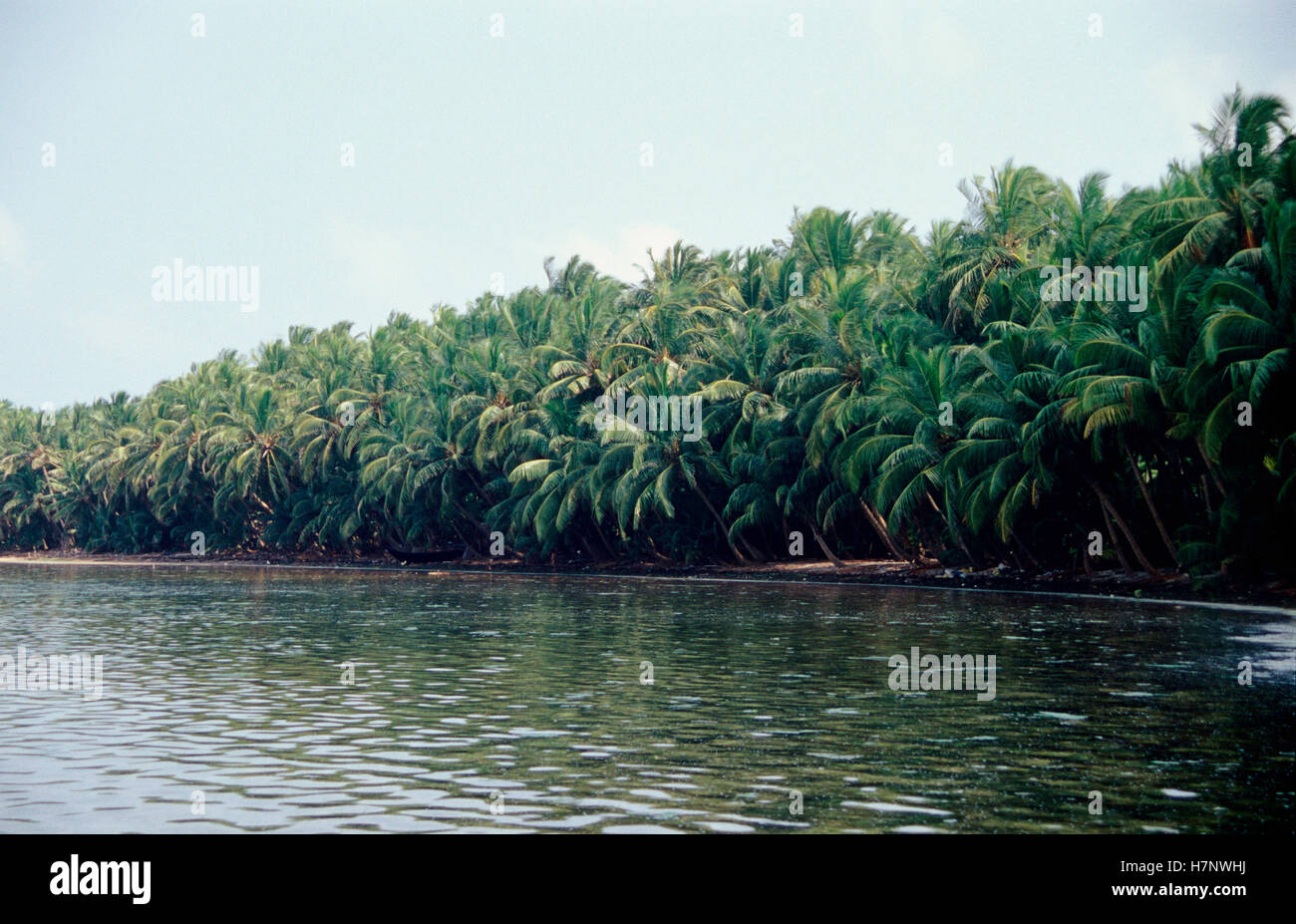 Beautiful lakshadweep island beach hi-res stock photography and images ...