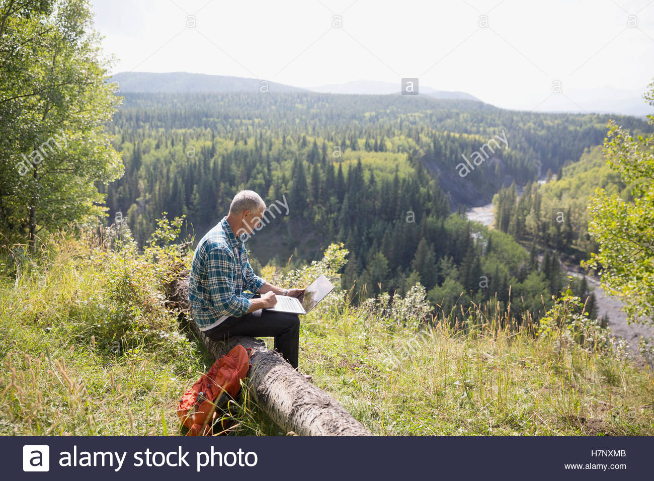 Mature man hiking resting using laptop on log at sunny remote rural ...