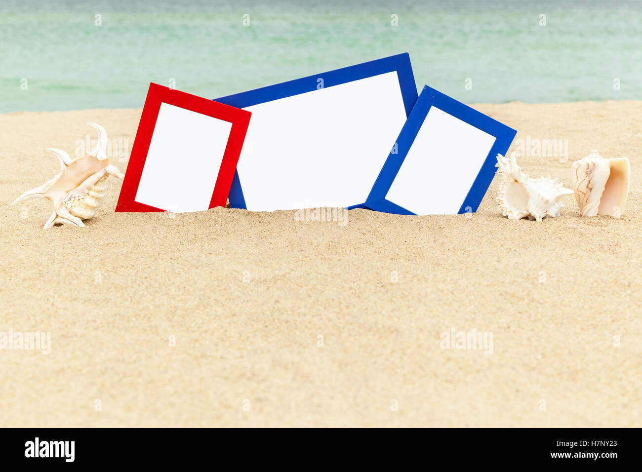 photo frame on the beach, photography on the beach, sea shells, beach ...