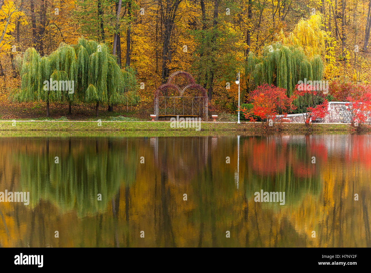 park, autumn, nature, panorama, landscape, garden, colorful trees ...