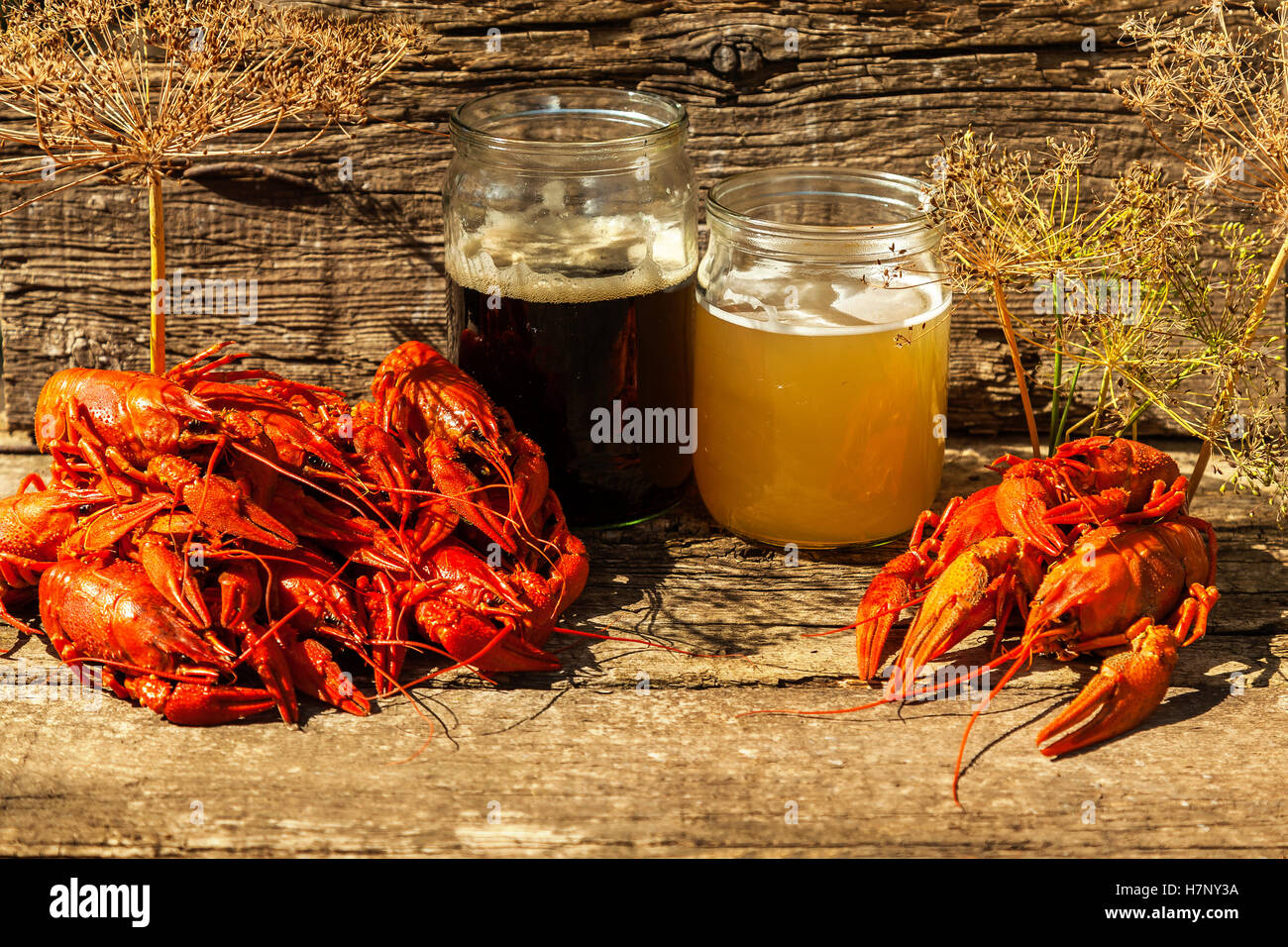 Cancers to beer, dill, boiled crawfish, beer snacks, pub, texture ...