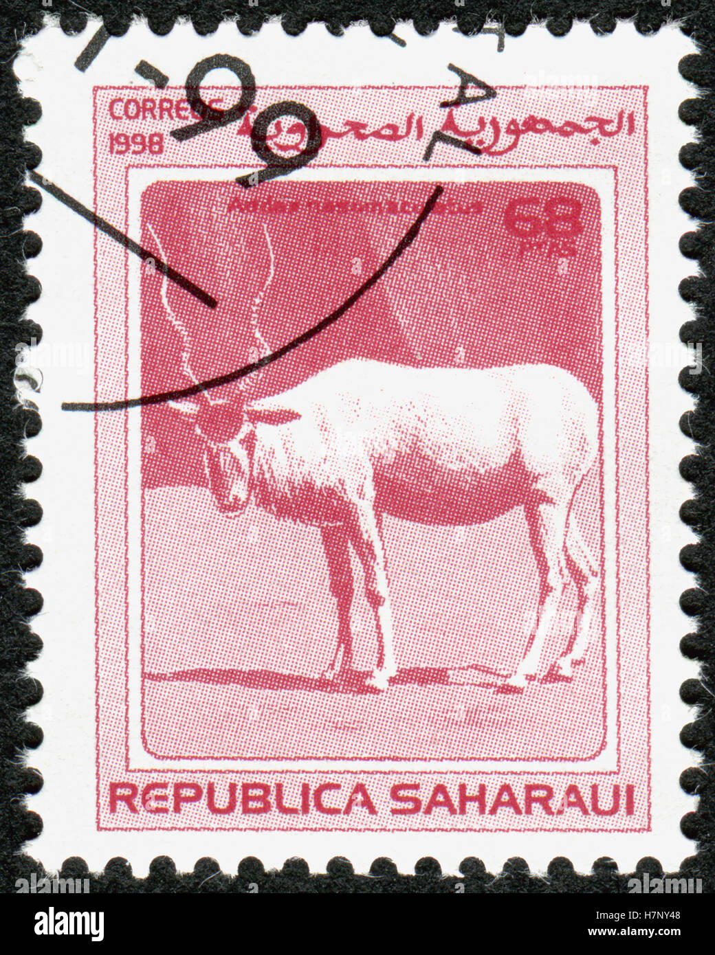 SAHRAWI REPUBLIC - CIRCA 1998: A stamp printed in Sahrawi Republic ...
