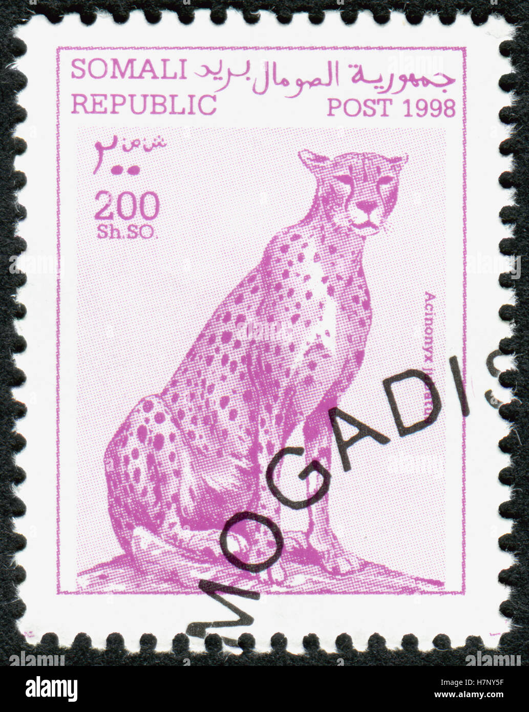 SOMALIA - CIRCA 1998: A stamp printed in Somalia, shows the animal ...