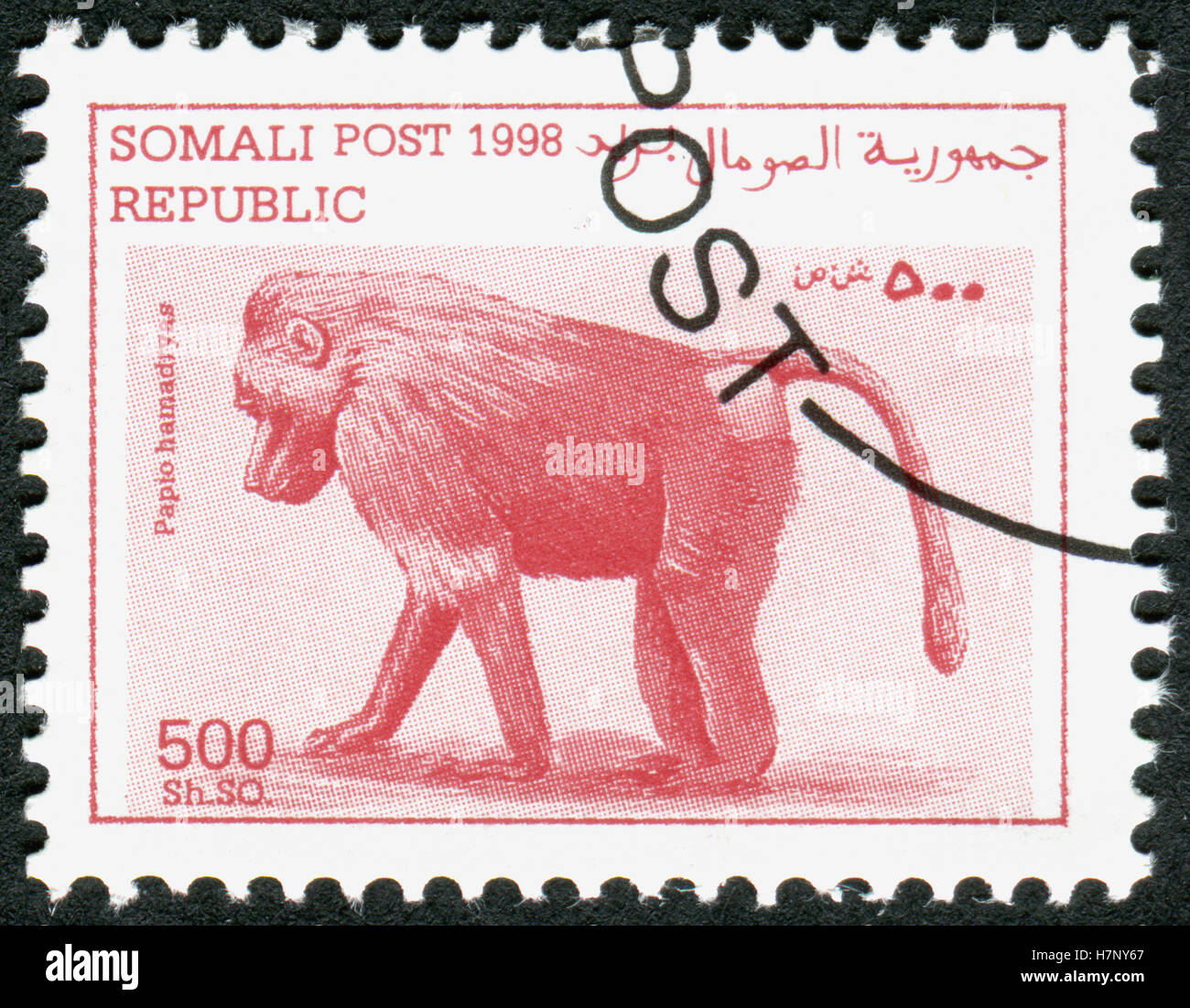 SOMALIA - CIRCA 1998: A stamp printed in Somalia, shows the animal ...