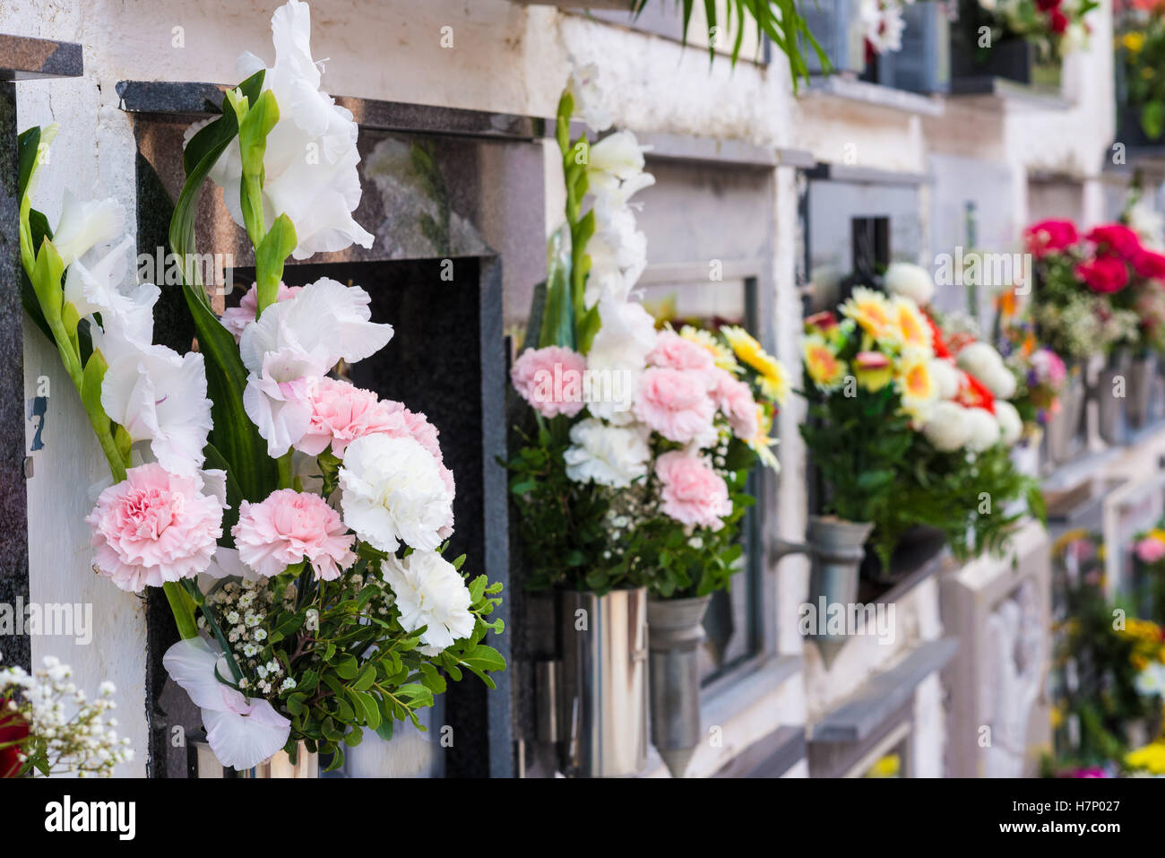 Bunch of tombs hi-res stock photography and images - Alamy