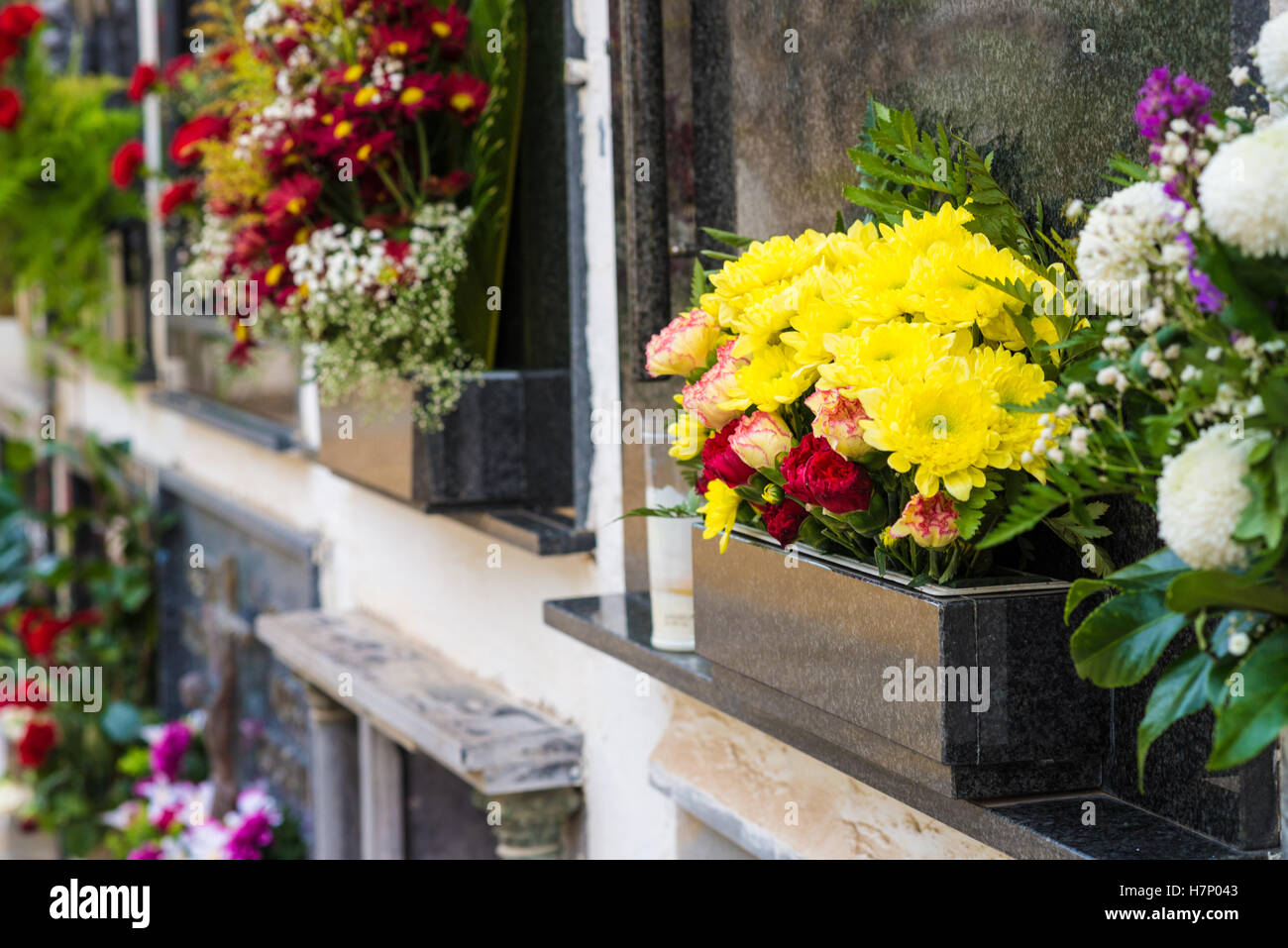 Bunch of tombs hi-res stock photography and images - Alamy