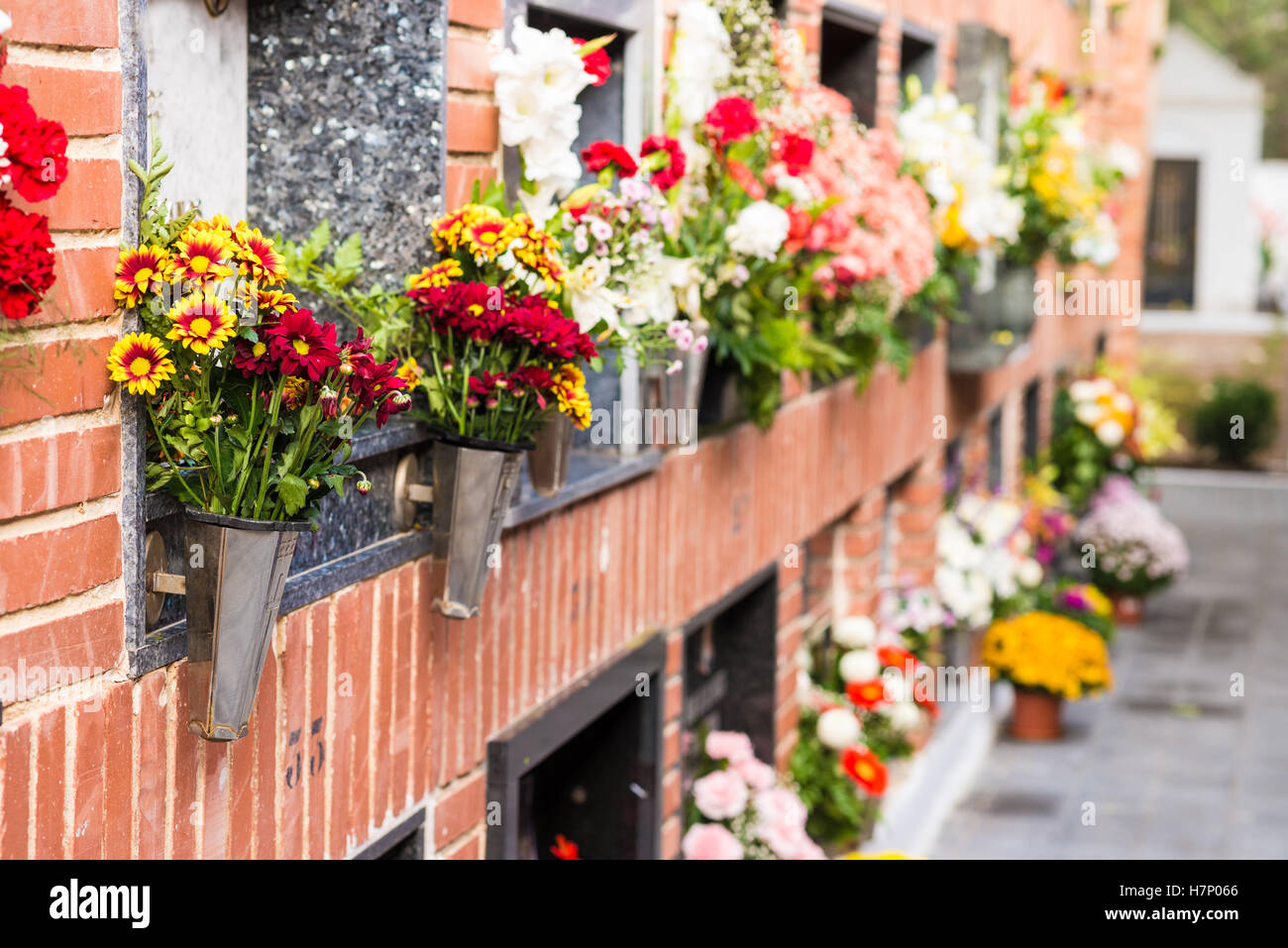 Open tombs hi-res stock photography and images - Alamy
