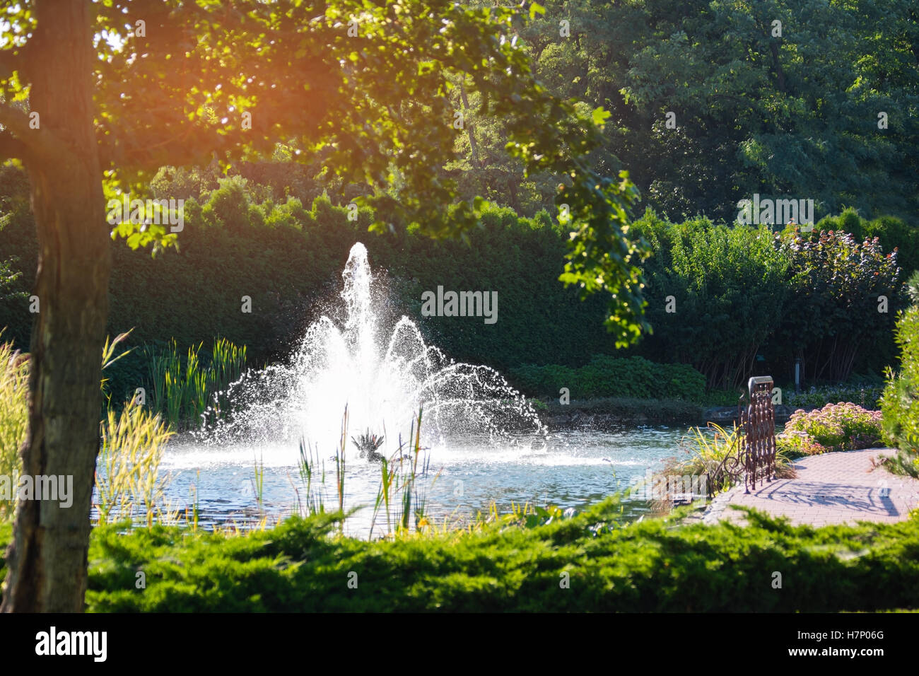 Fountain and nature Stock Photo - Alamy