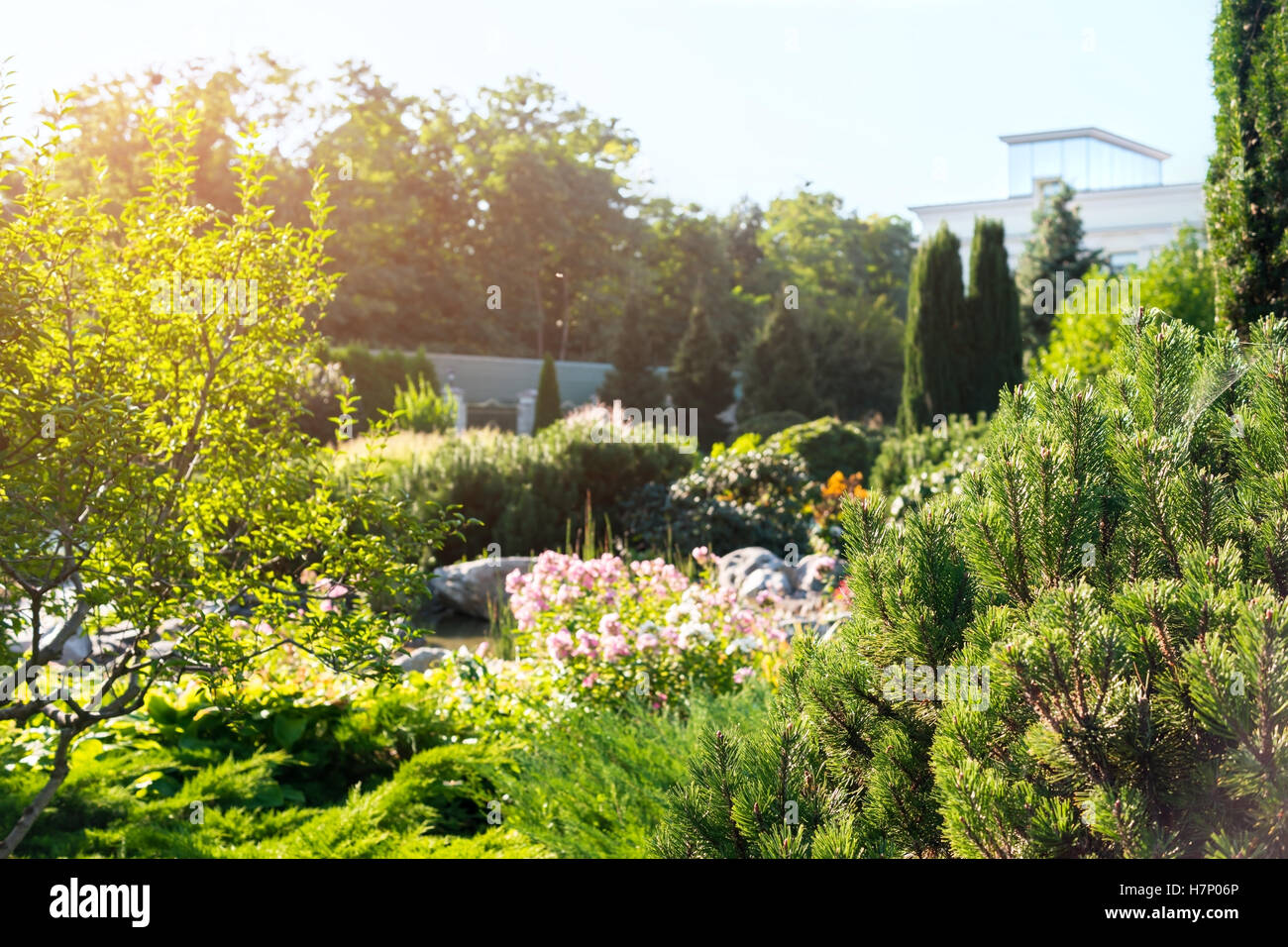 Trees and bushes Stock Photo - Alamy