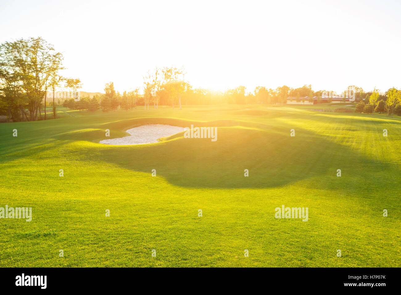 Green grass and sunshine Stock Photo - Alamy