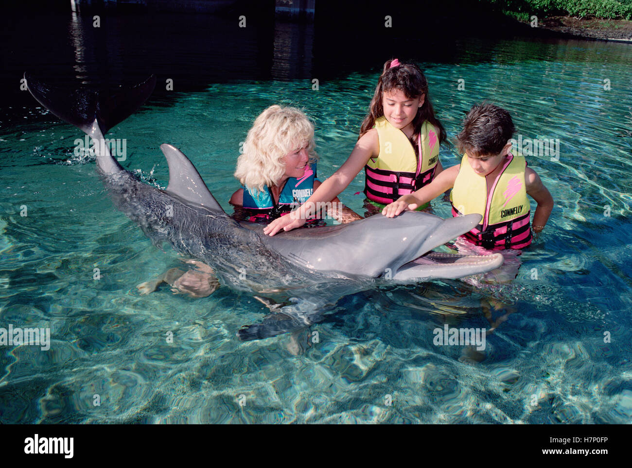 Bottlenose Dolphin (Tursiops truncatus) interacting with children ...