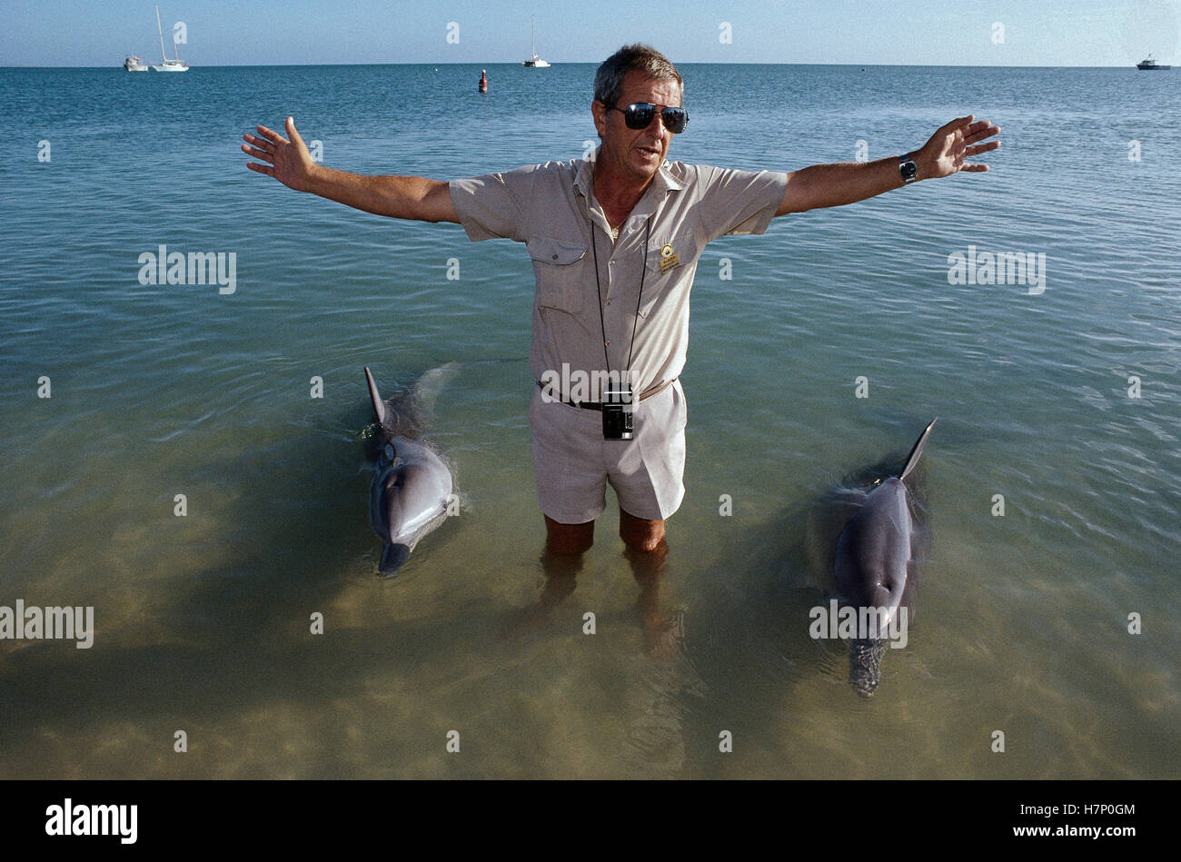 Bottlenose Dolphin (Tursiops truncatus) that interact with tourists ...