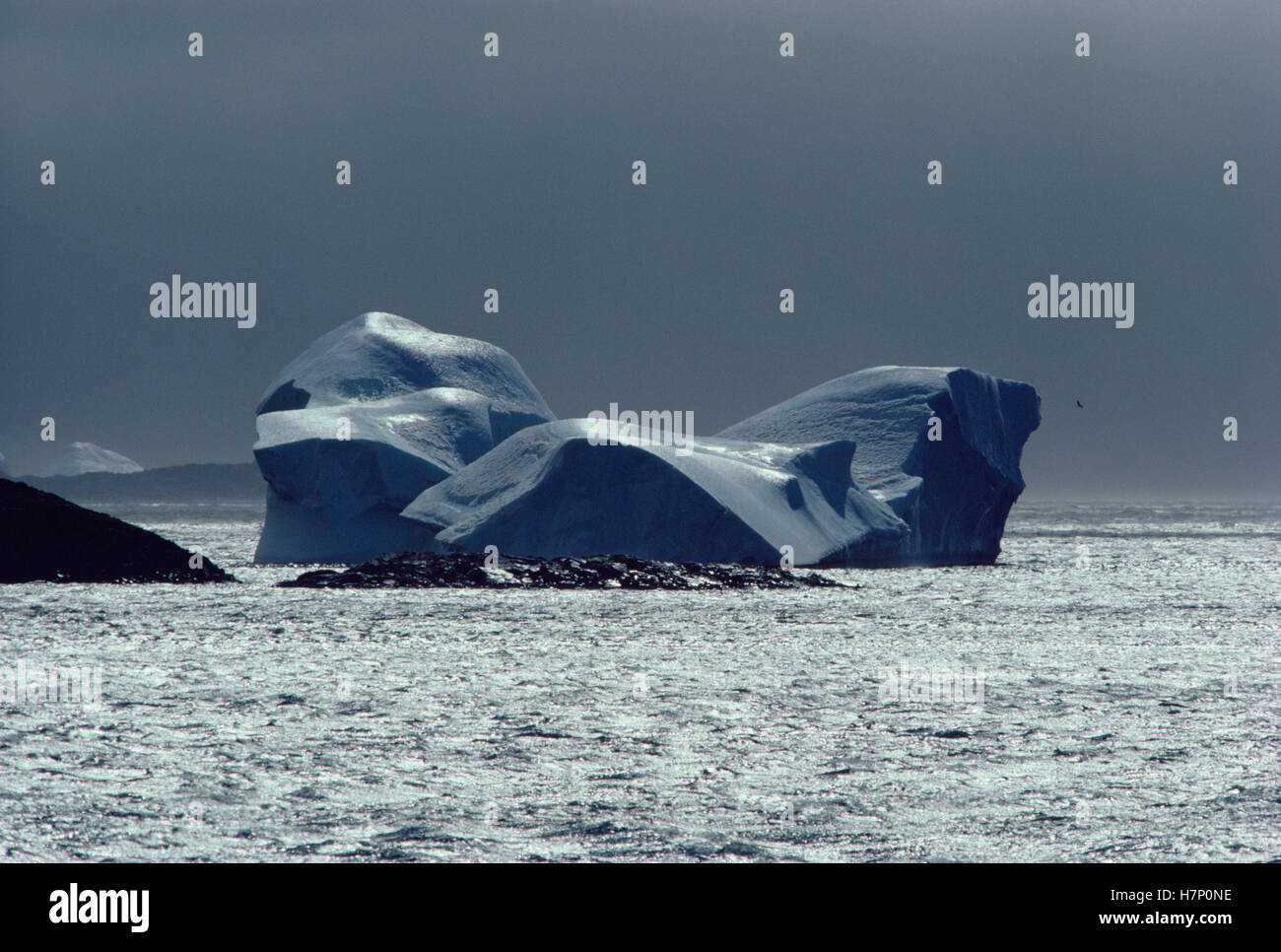 Icebergs, Palmer Peninsula, Antarctica Stock Photo - Alamy