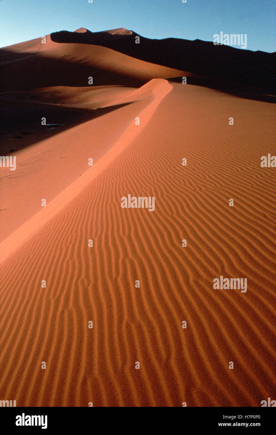 Landscape of rippling sand, Namib Desert, Namibia Stock Photo - Alamy