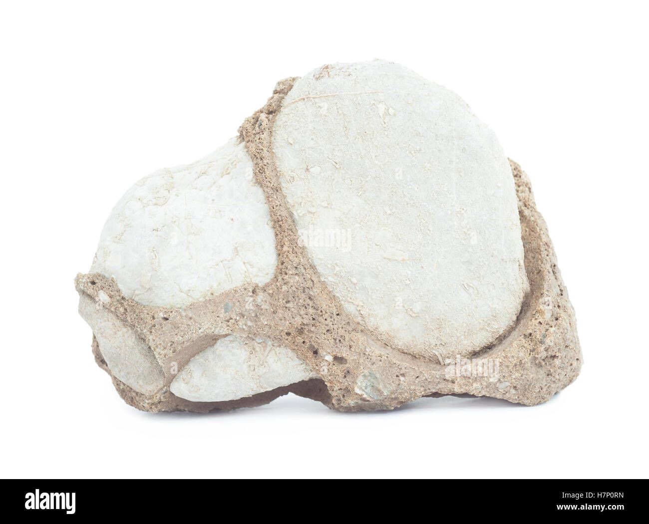 conglomerate rock isolated Stock Photo - Alamy