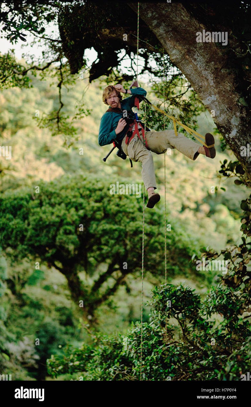Photographer Dr Mark Moffett in rainforest tree, Monteverde, Costa Rica ...