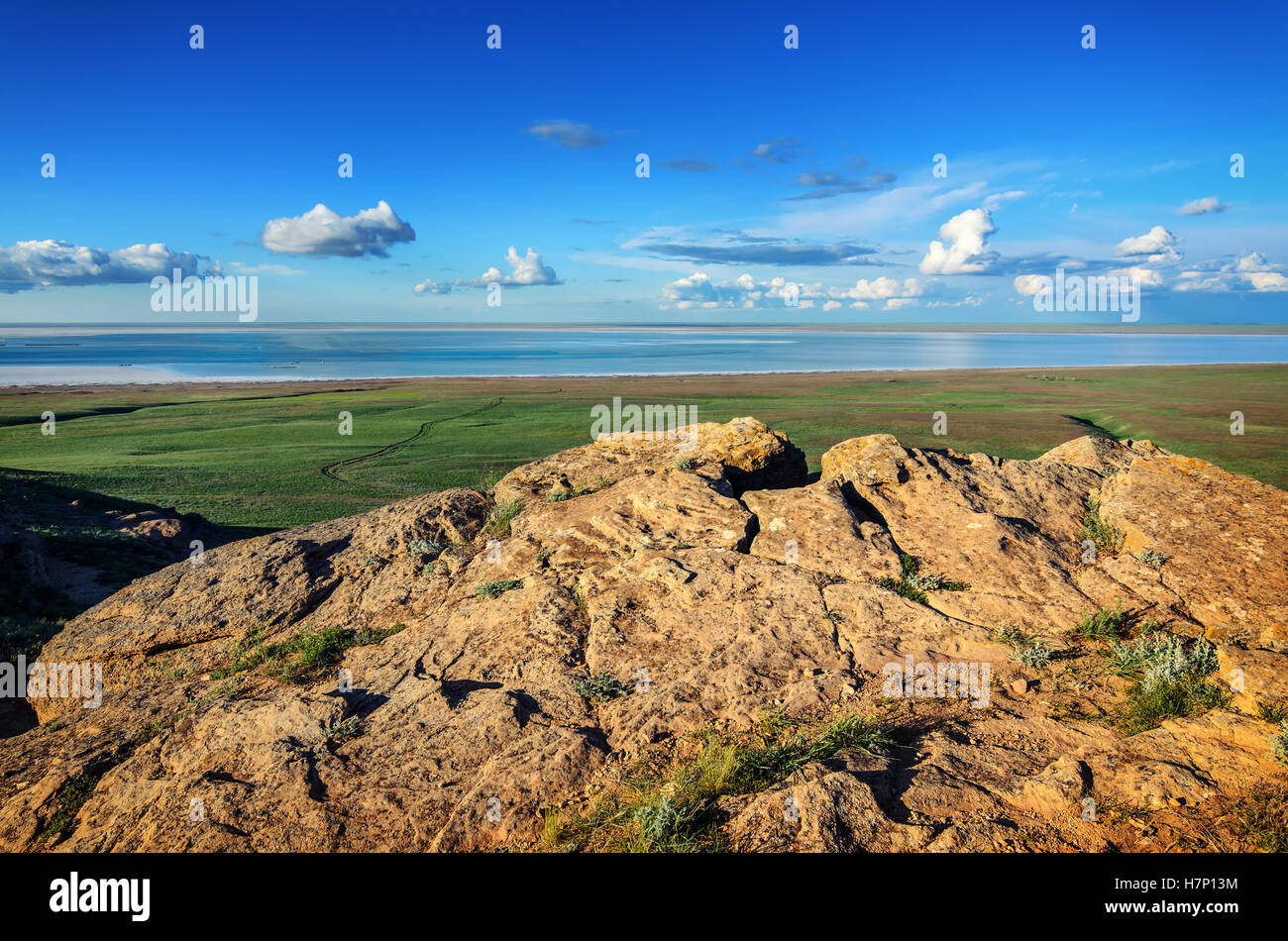 Beautiful bush in steppe area hi-res stock photography and images - Alamy