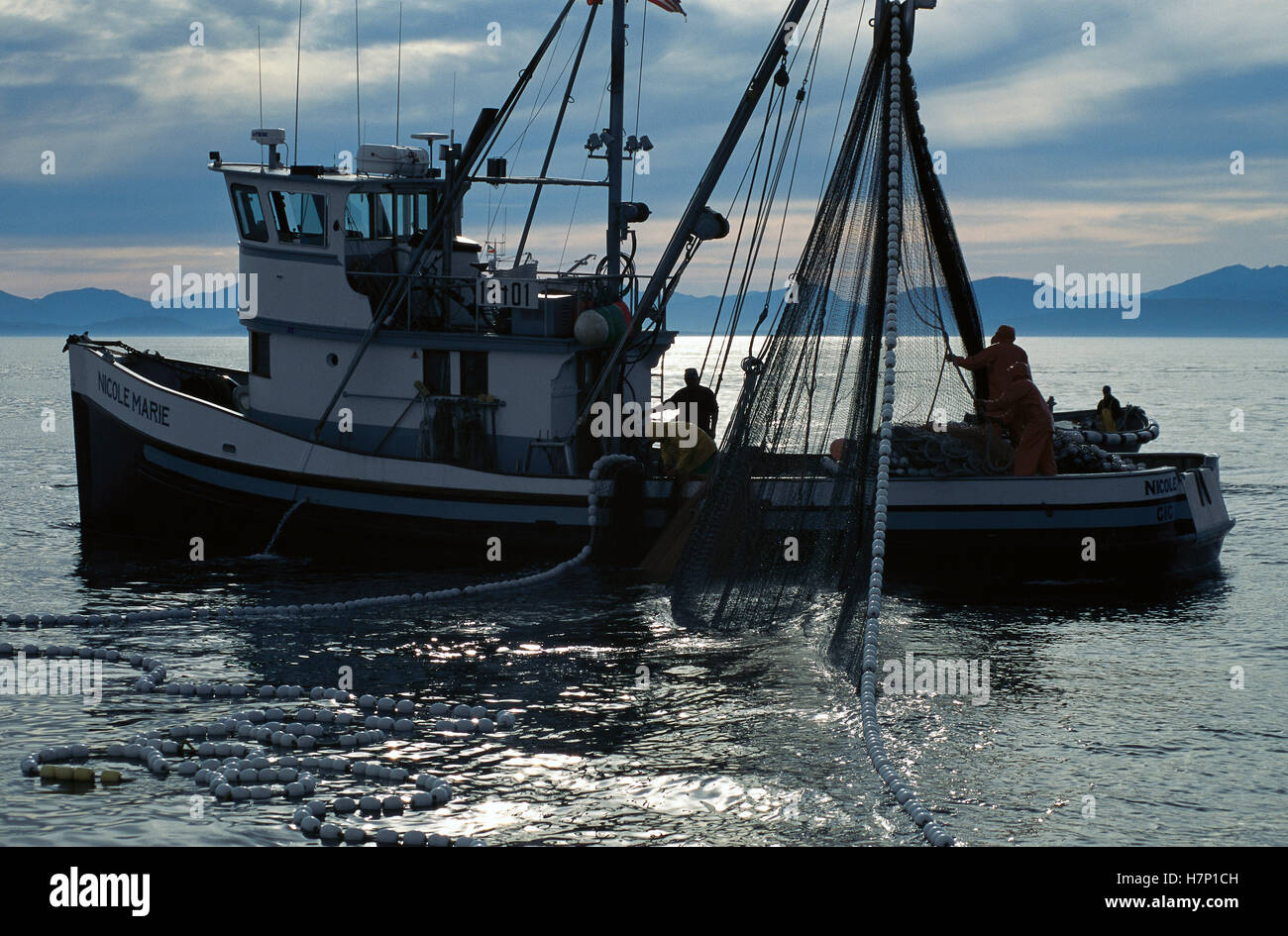 Fishing boat hauling in full nets, Alaska Stock Photo - Alamy