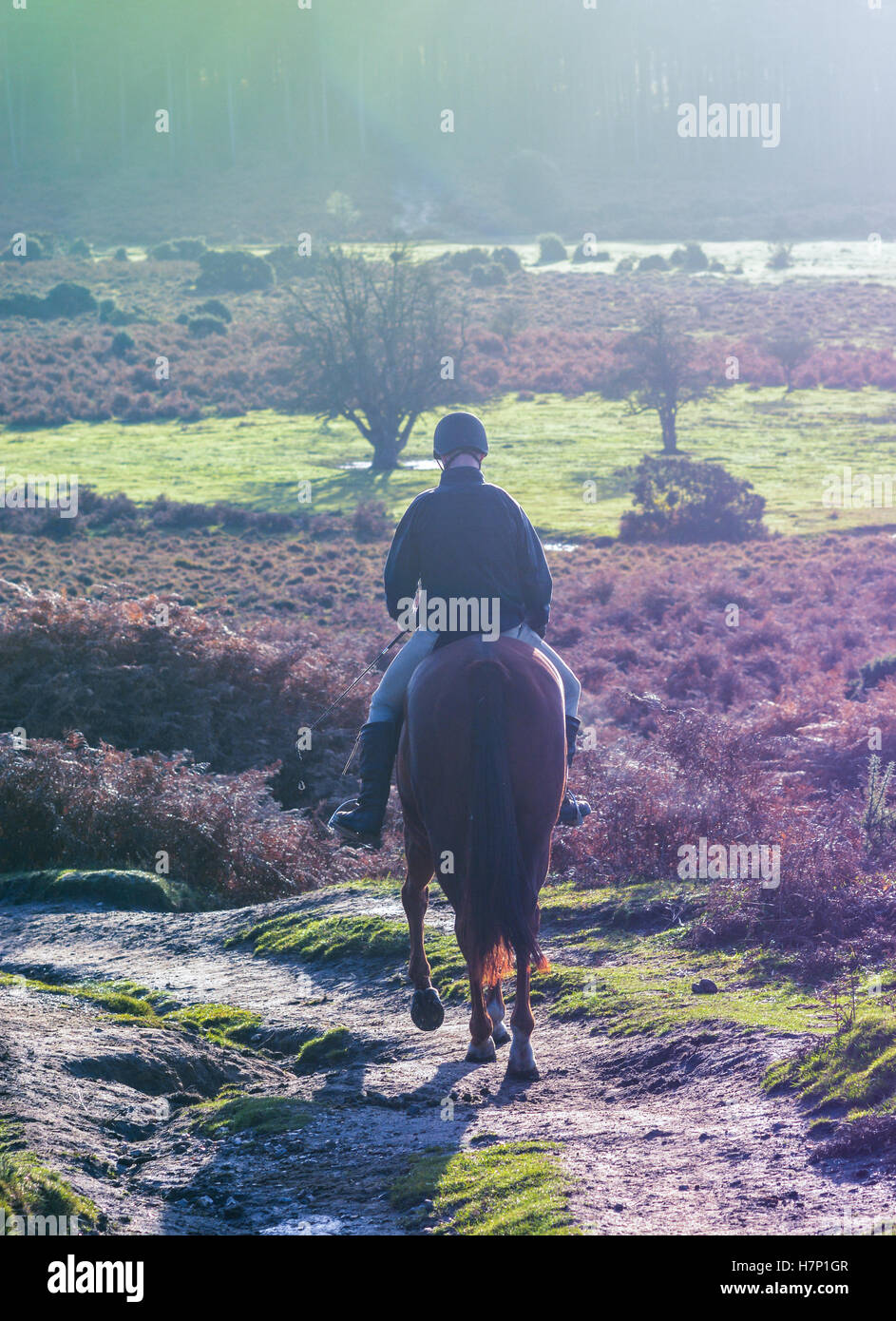 A horse rider takes his steed for an early morning walk, riding into ...