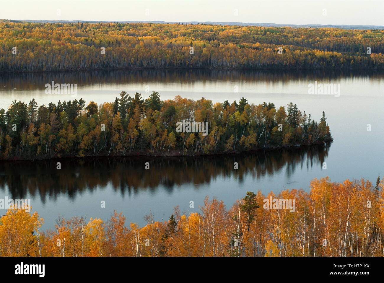 Northwoods in autumn, Minnesota Stock Photo - Alamy