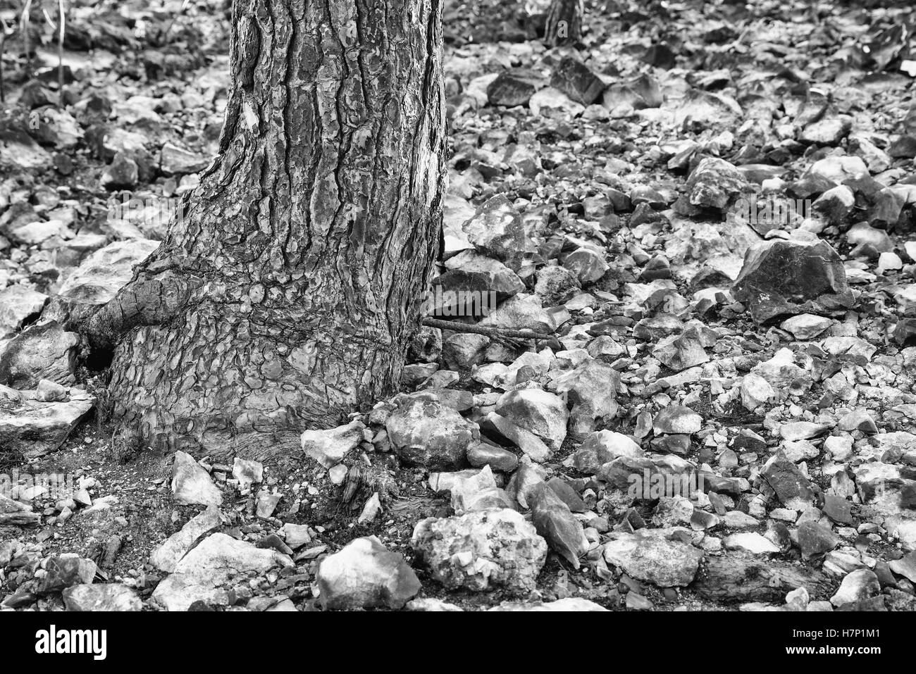 Devastated landscape hi-res stock photography and images - Alamy