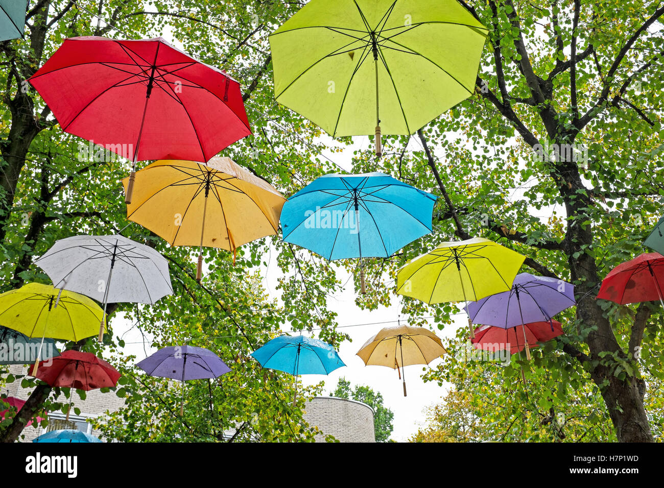 Umbrellas in the rain countryside hi-res stock photography and images ...