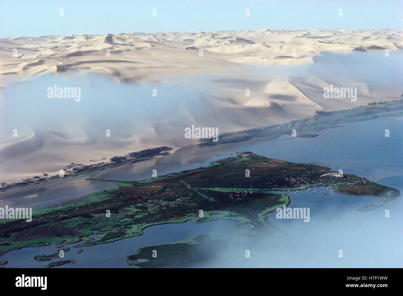 Sand dunes and wetlands, Skeleton Coast, Namib Desert, Namibia Stock ...
