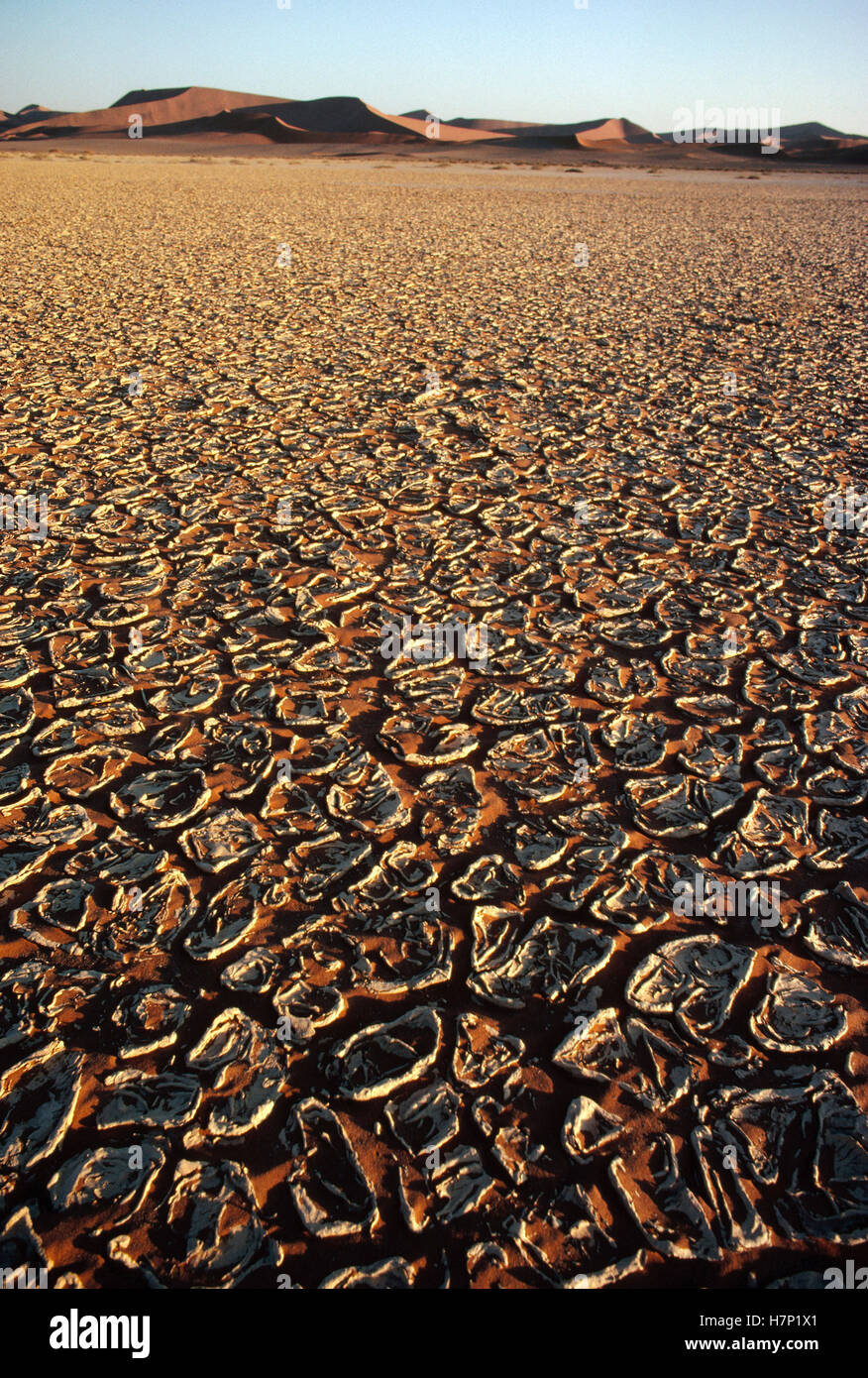 Cracked mud flat, Namib Desert, Namibia Stock Photo - Alamy