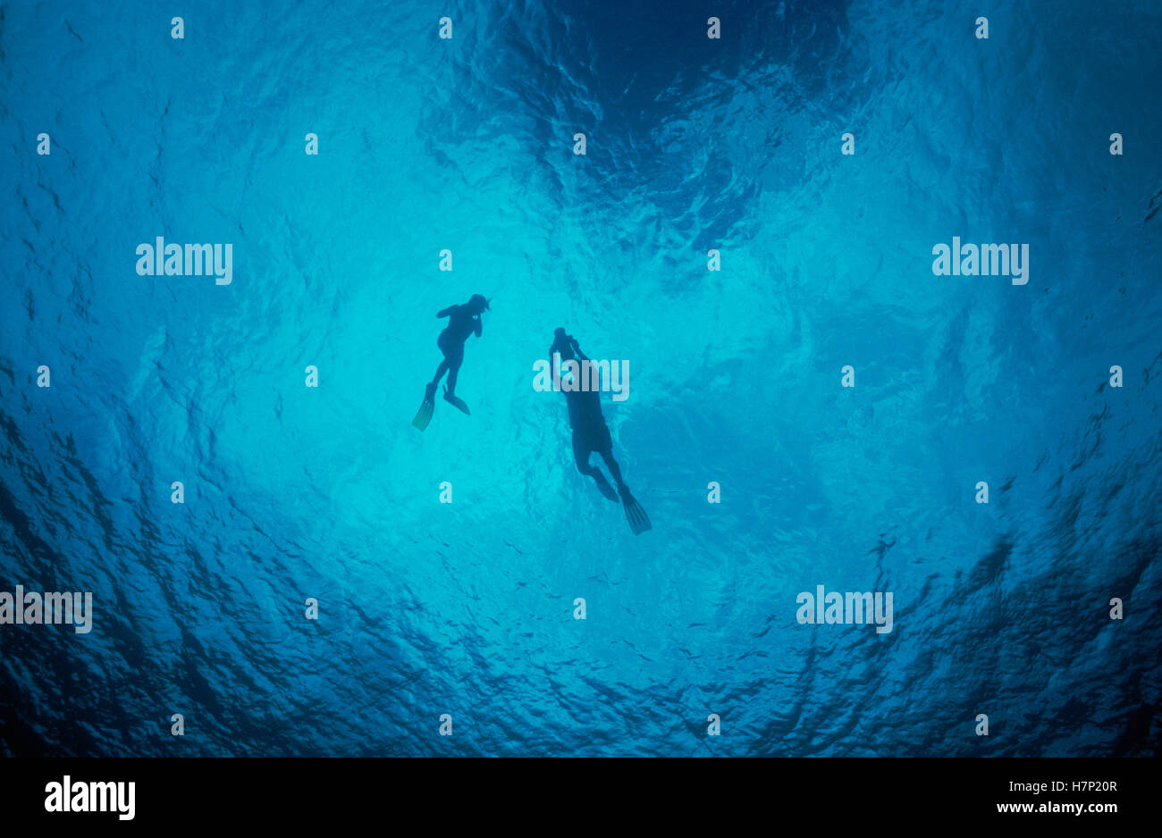 Underwater view of two scuba divers, Dominica Stock Photo - Alamy