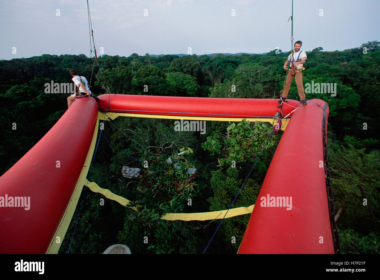Canopy researchers with balloon canopy raft, Cameroon Stock Photo - Alamy