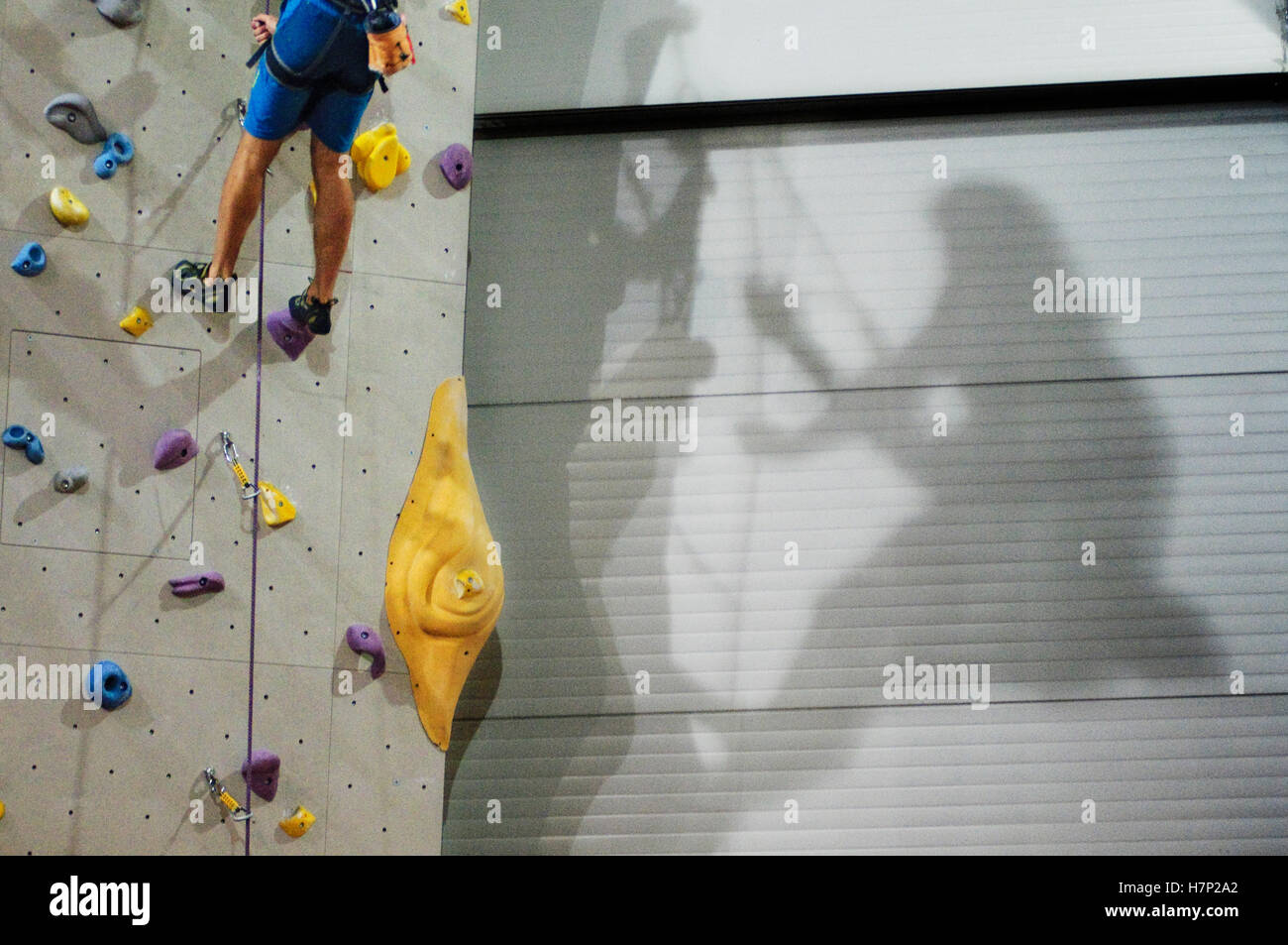 Man Climbing with Ropes on Climbing Wall Stock Photo - Alamy