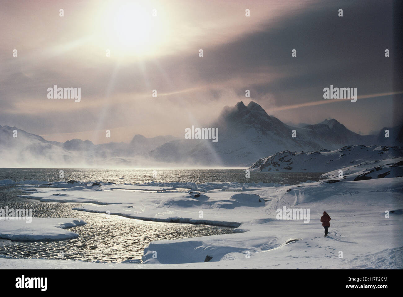 Traveler in icy landscape, Antarctica Stock Photo - Alamy