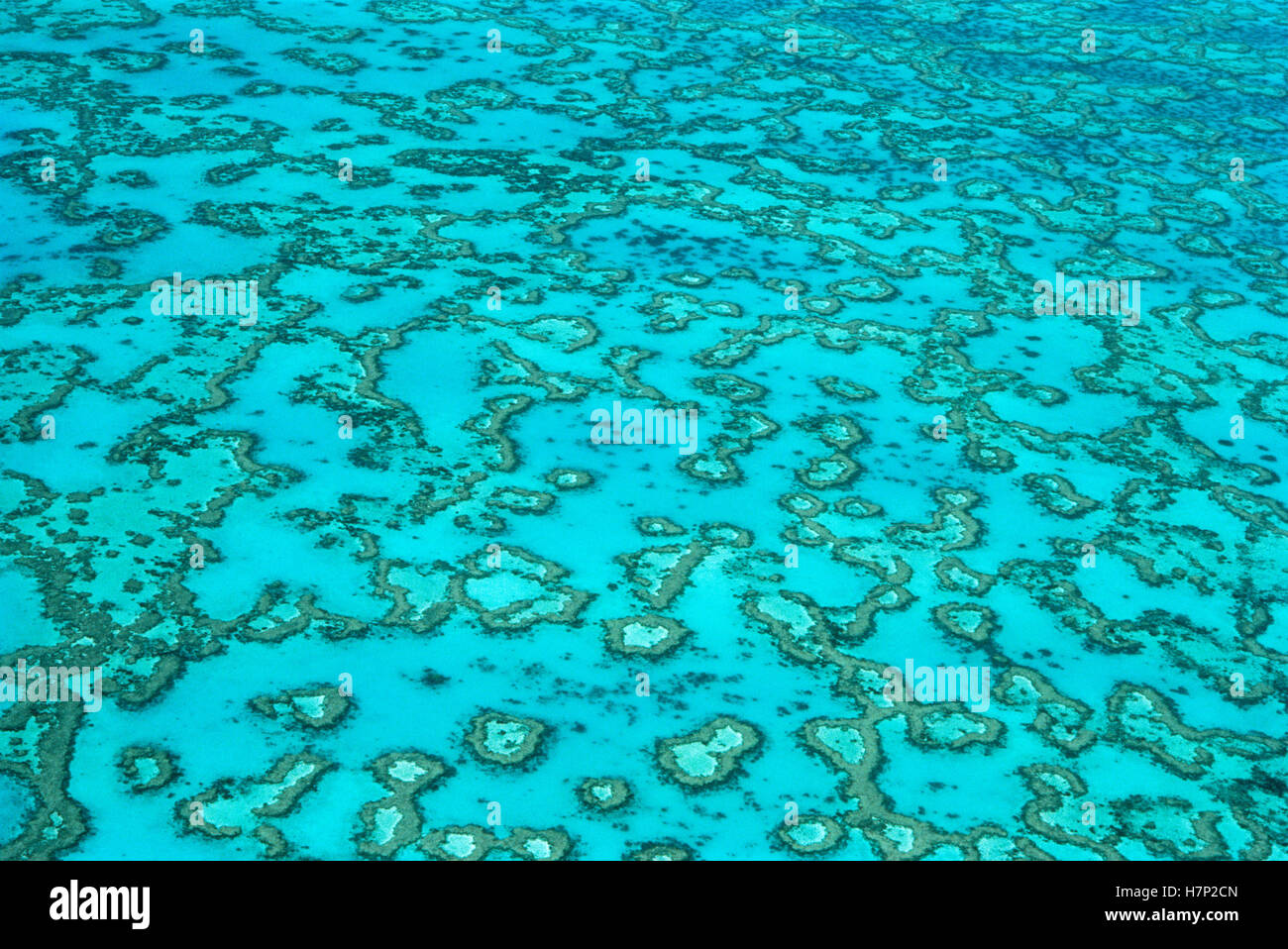 Aerial view of coral reef, Capricorn Island, Australia Stock Photo - Alamy