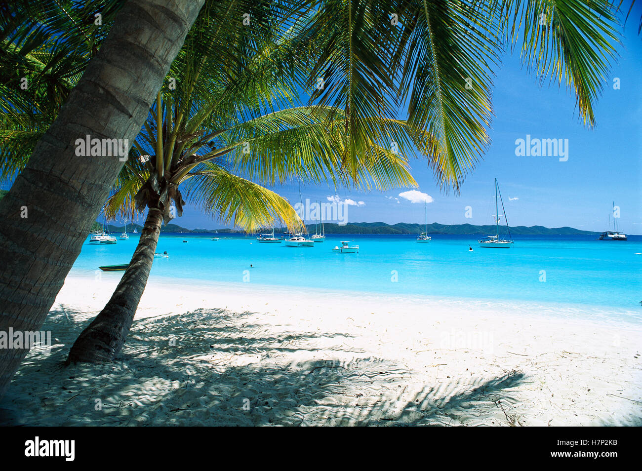 White sand beach ringed with palm trees overlooks bay filled with ...