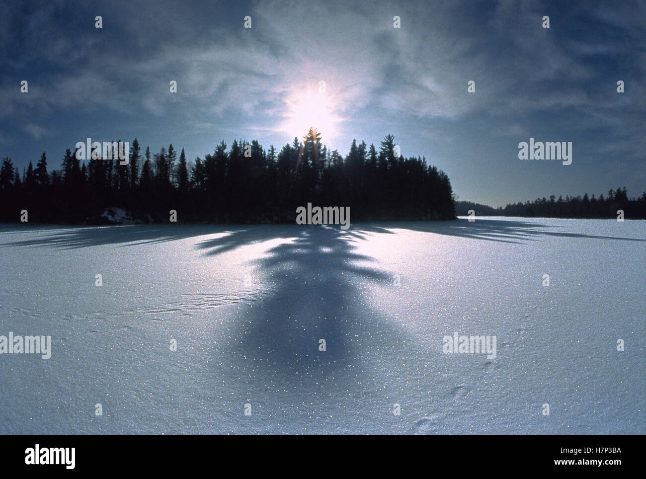 Frozen lake surrounded by coniferous forest on the year's shortest day ...