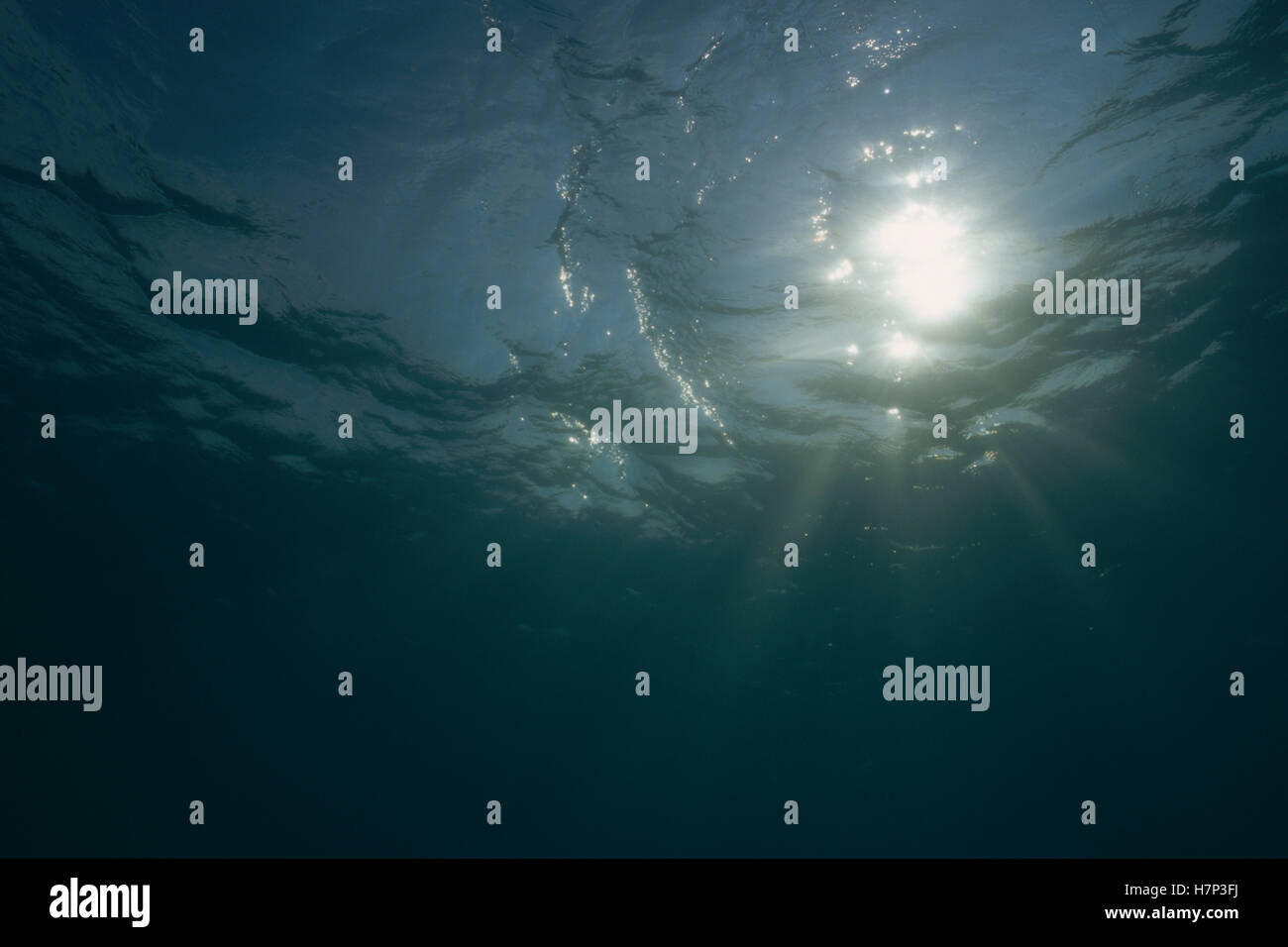 Underwater sunlight reflections Stock Photo - Alamy