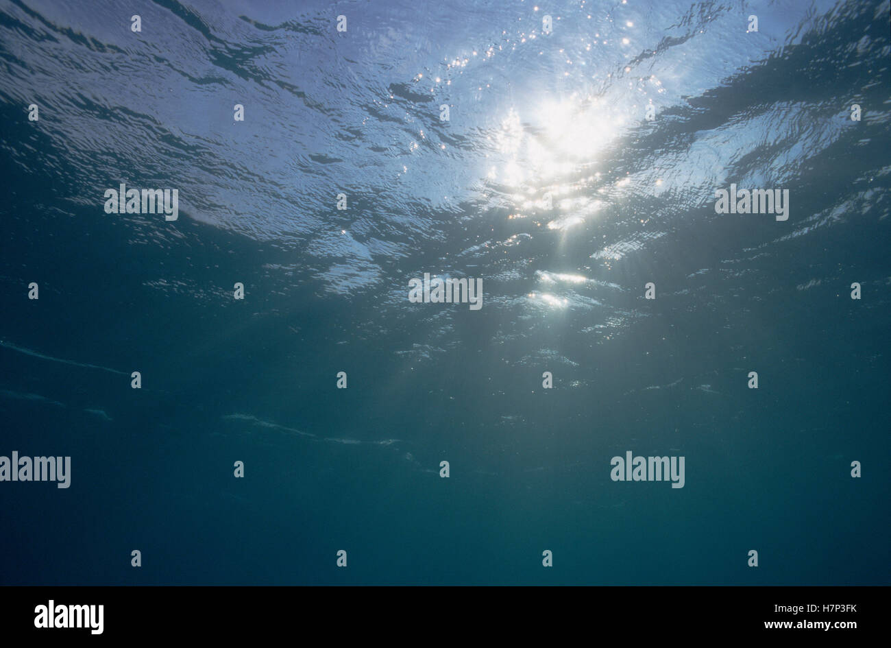 Underwater sunlight reflections Stock Photo - Alamy