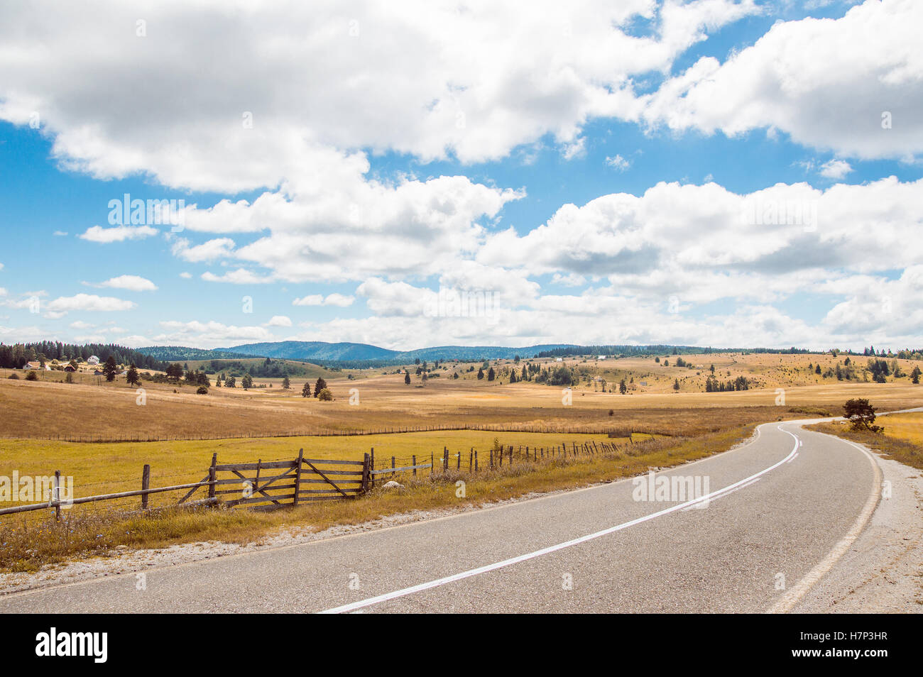 Rural nature. Beautiful summer landscape with field and forest Stock ...