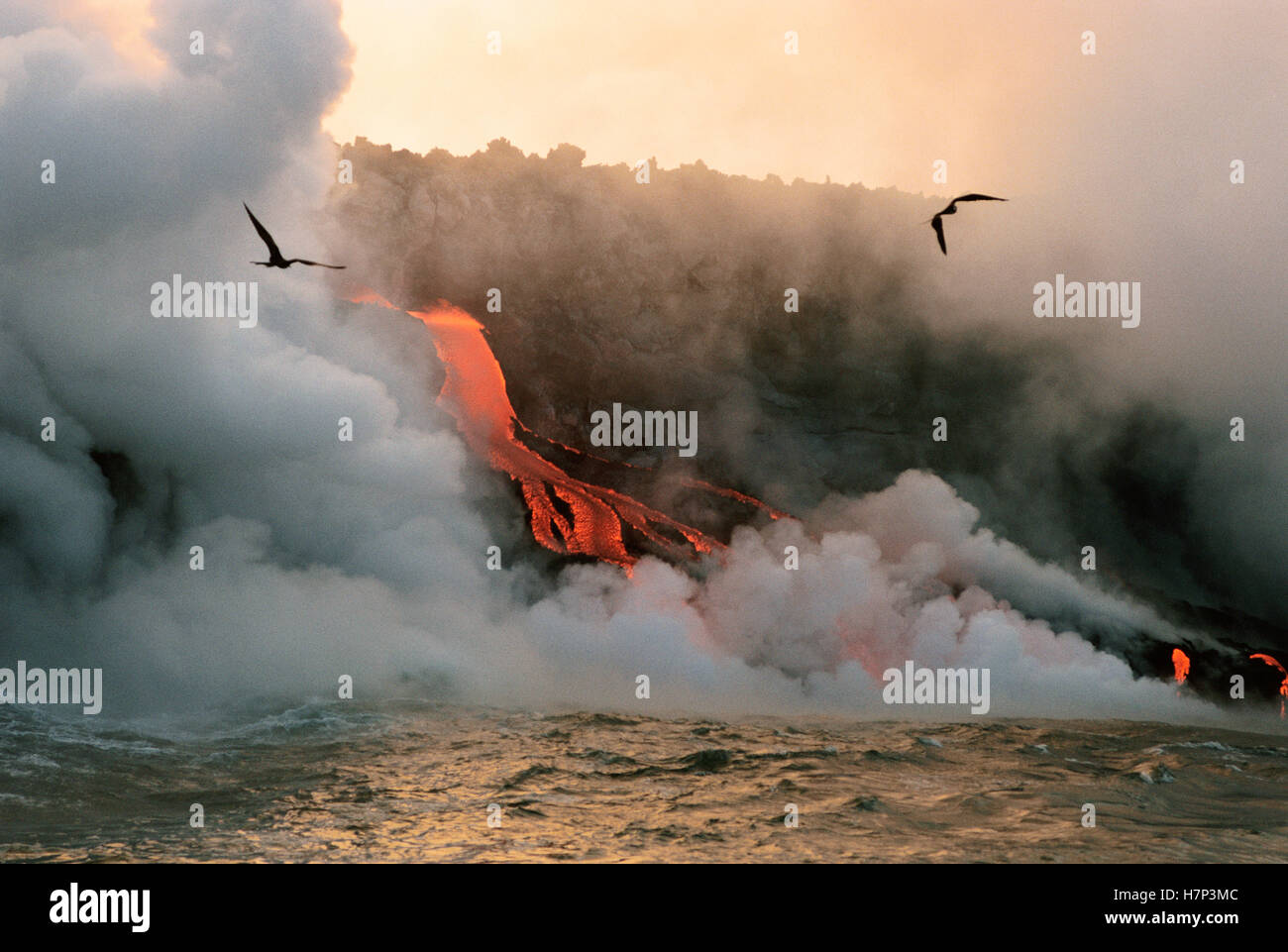 Lava flow entering the sea, Galapagos Islands National Park, Ecuador ...