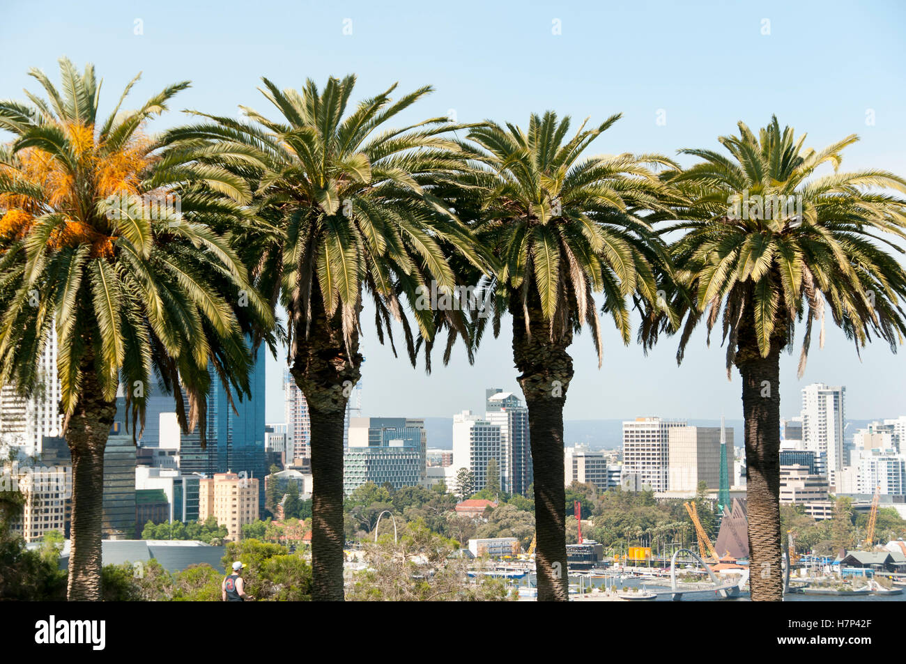 Kings park lookout hi-res stock photography and images - Alamy