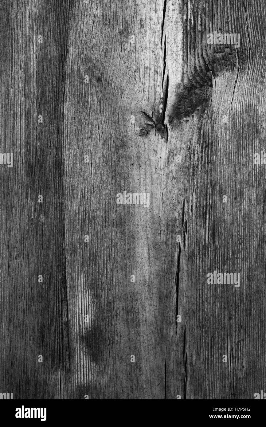 Old log wood texture Black and White Stock Photos & Images - Alamy