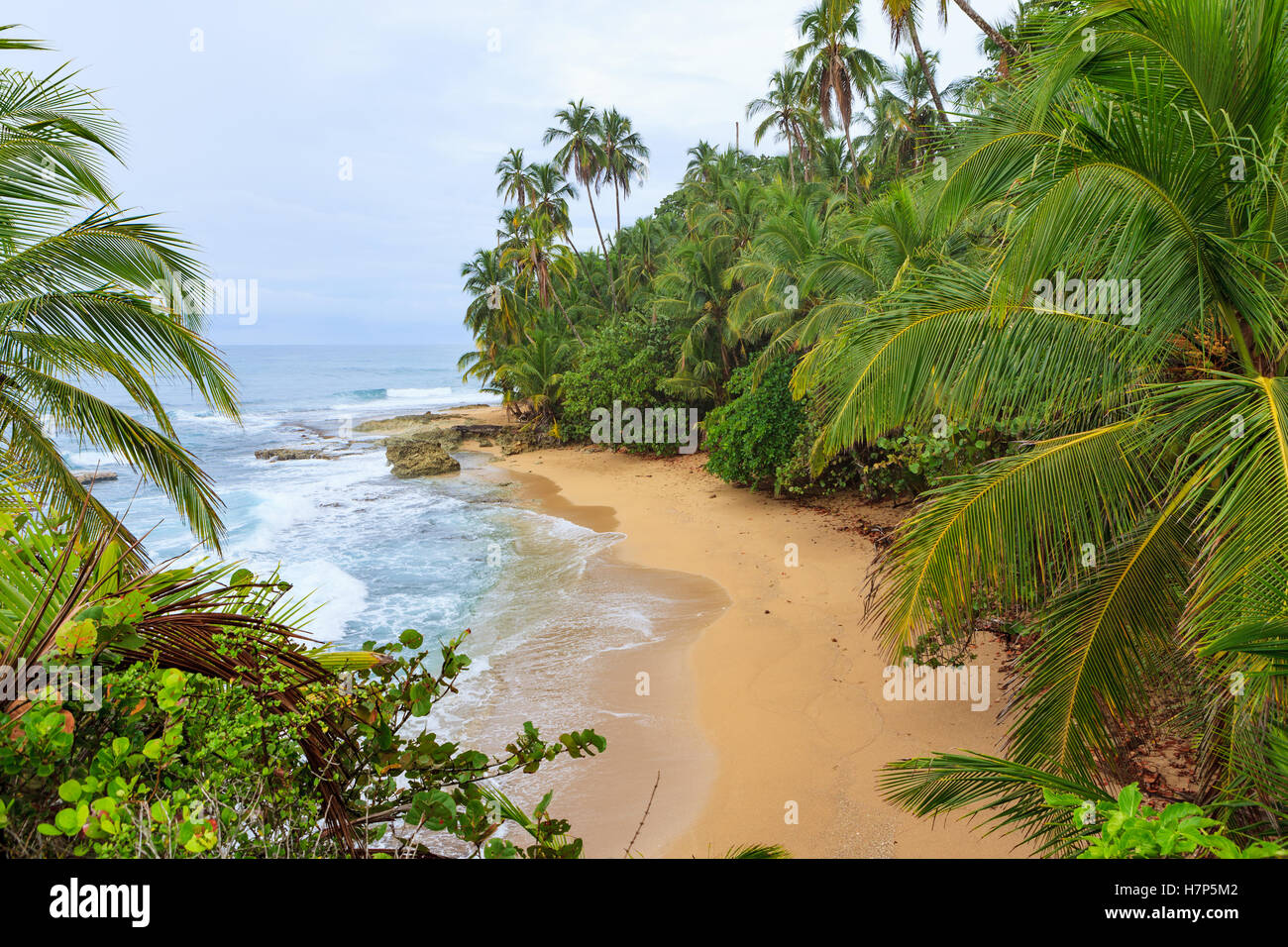 Idyllic beach Manzanillo Costa Rica Stock Photo - Alamy
