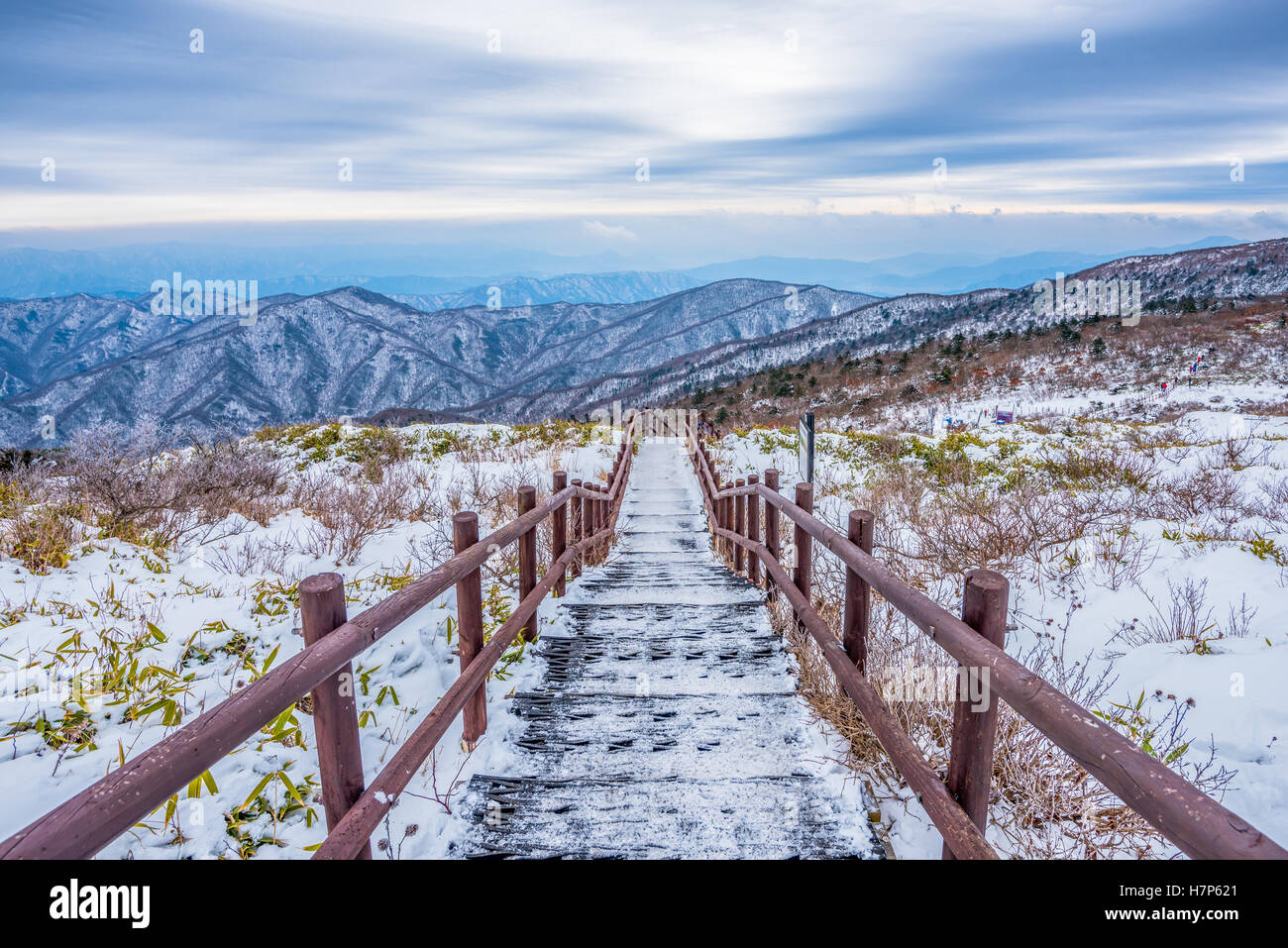 Winter landscape white snow of Mountain in Korea Stock Photo - Alamy