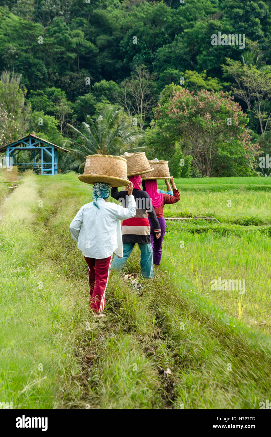 peasant woman was walking Stock Photo - Alamy