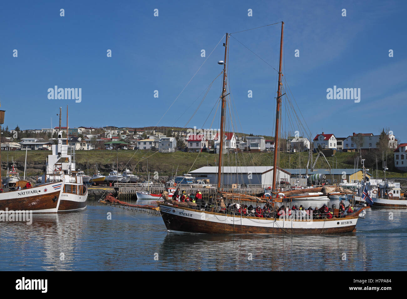 Old wooden sailing boat setting out on a awhale watching safari ...